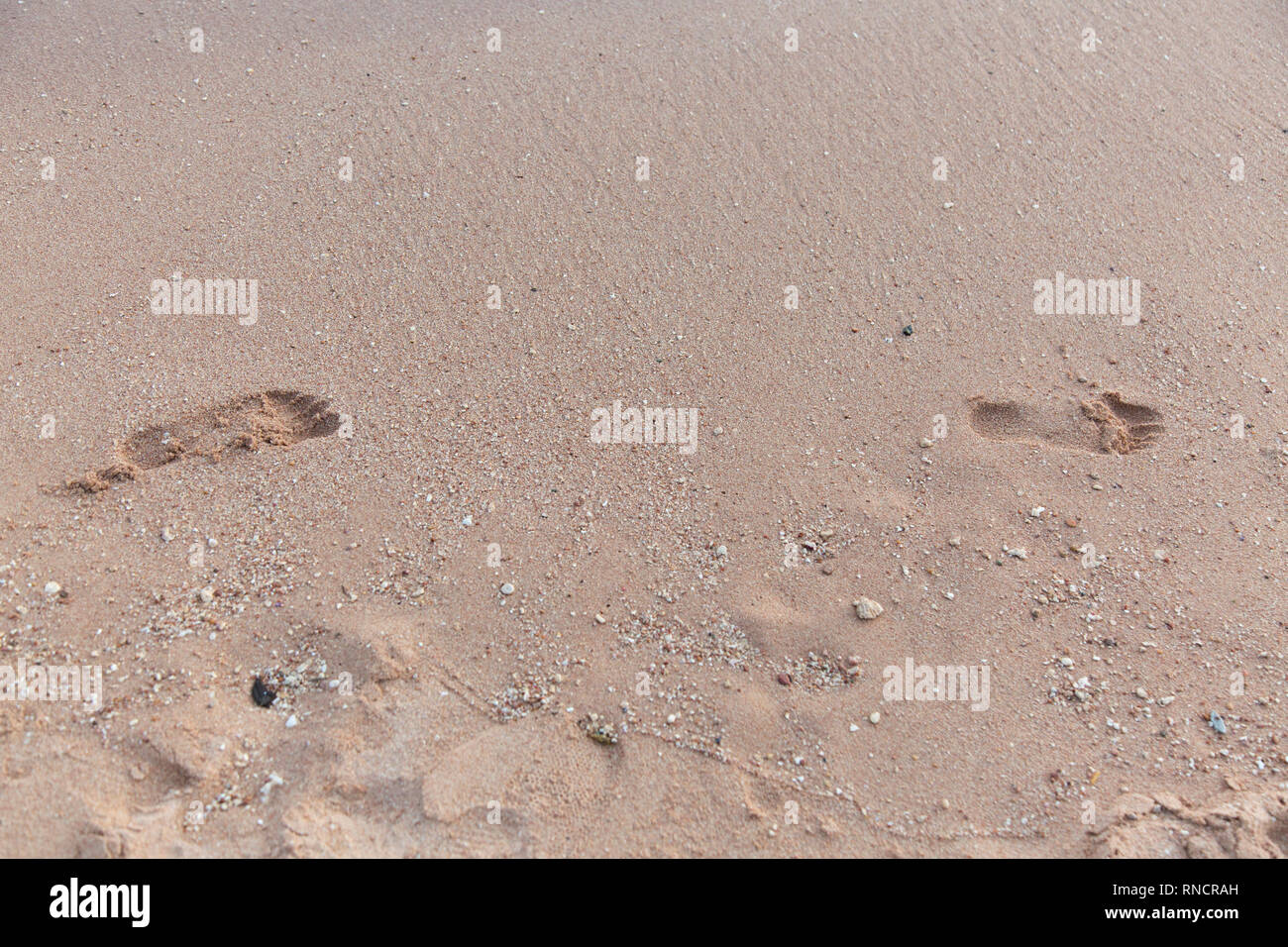 Footprints on sand on the beach, side view Stock Photo - Alamy