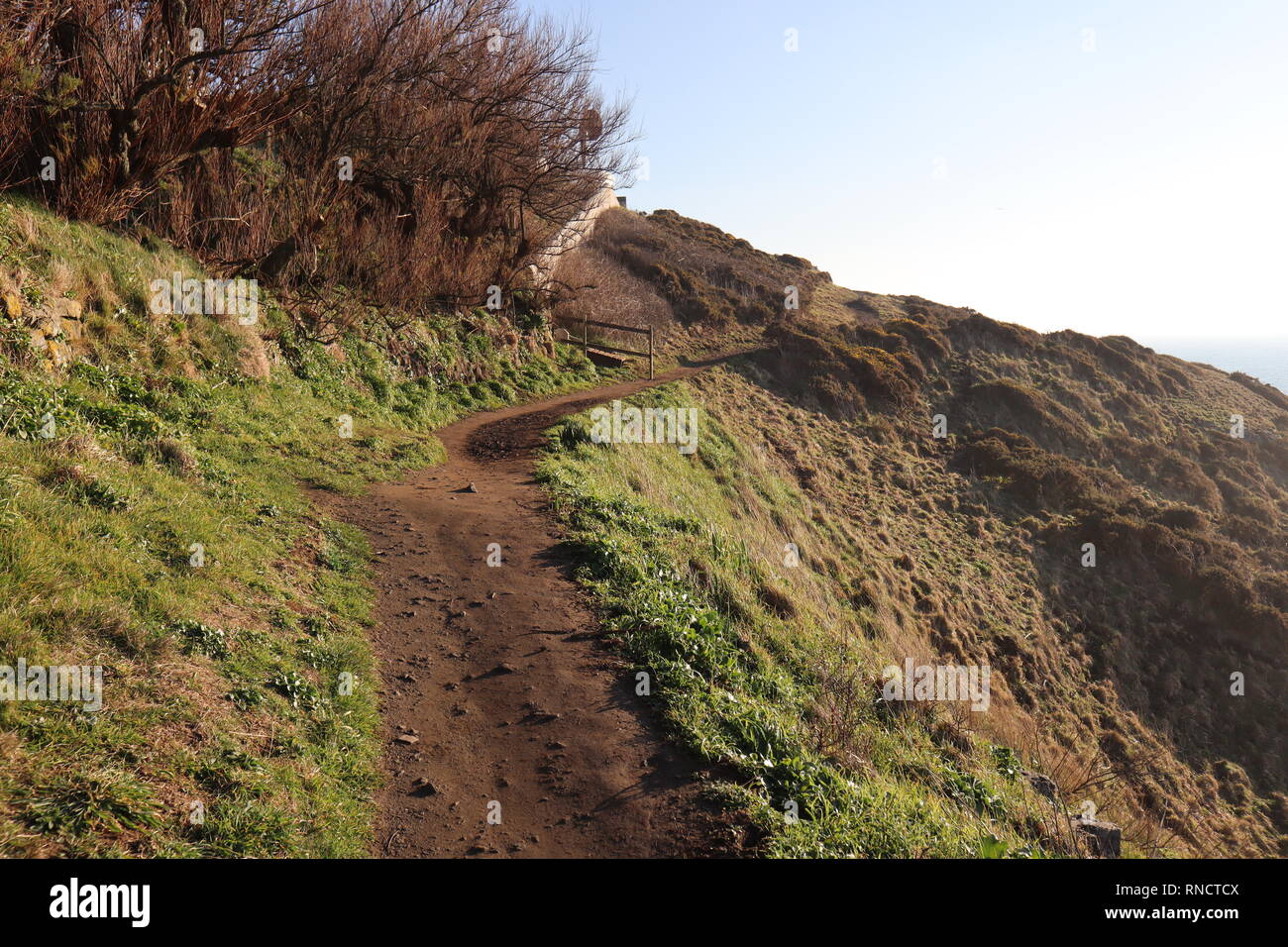 South west coast path Lizard Peninsula Cornwall Stock Photo - Alamy