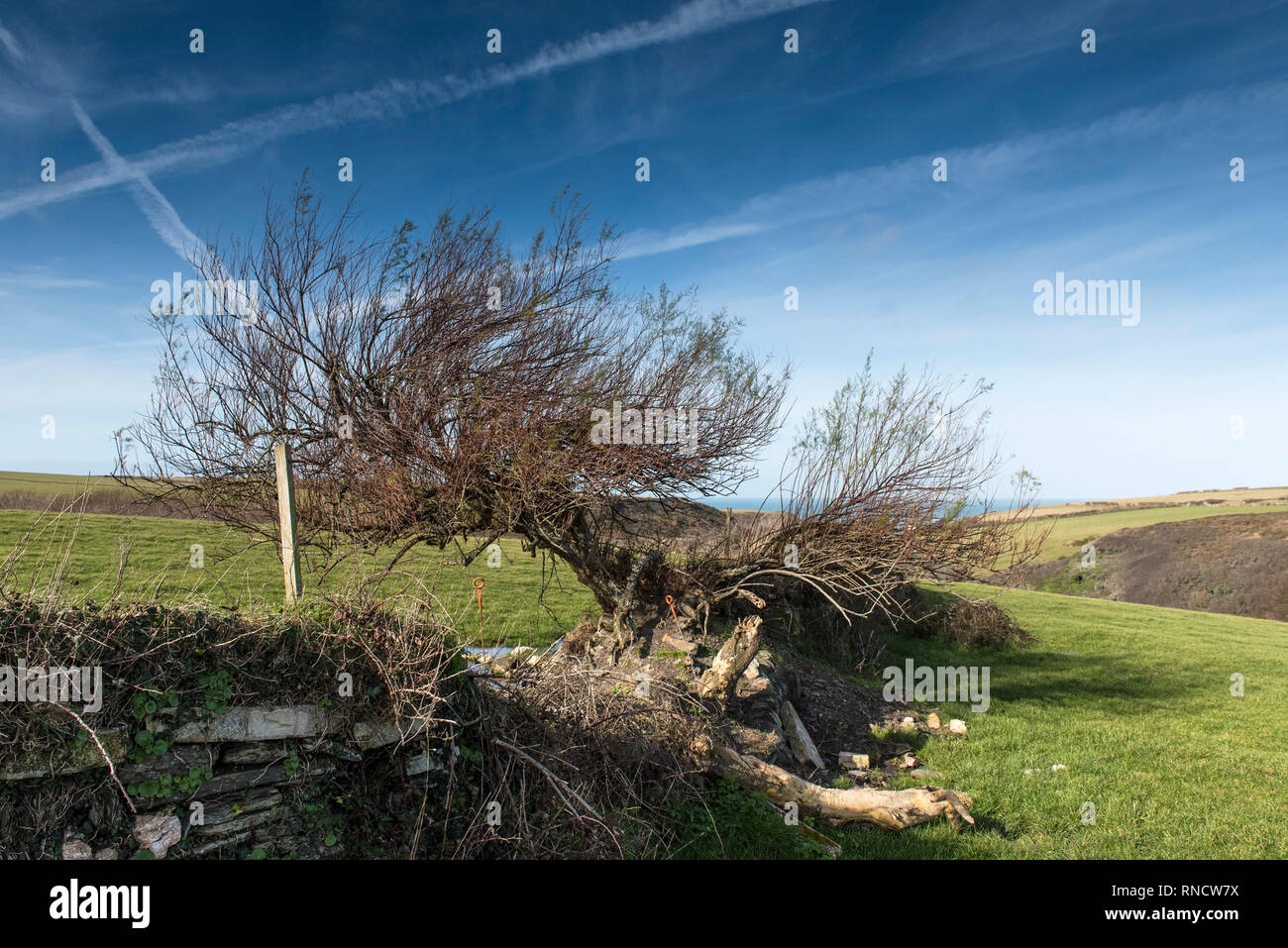 Country crumbling hi-res stock photography and images - Alamy