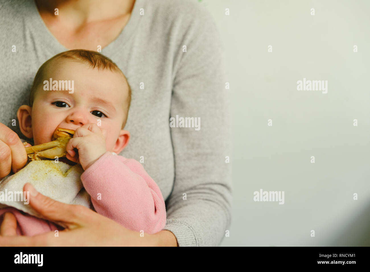 5 month old baby eating a chicken leg using the Baby led weaning BLW method Stock Photo - Alamy