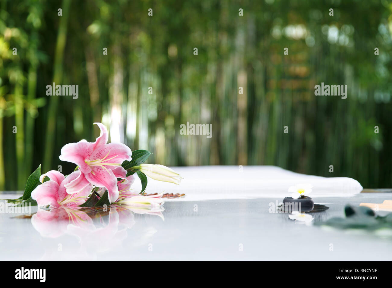 Lily grove hi-res stock photography and images - Alamy