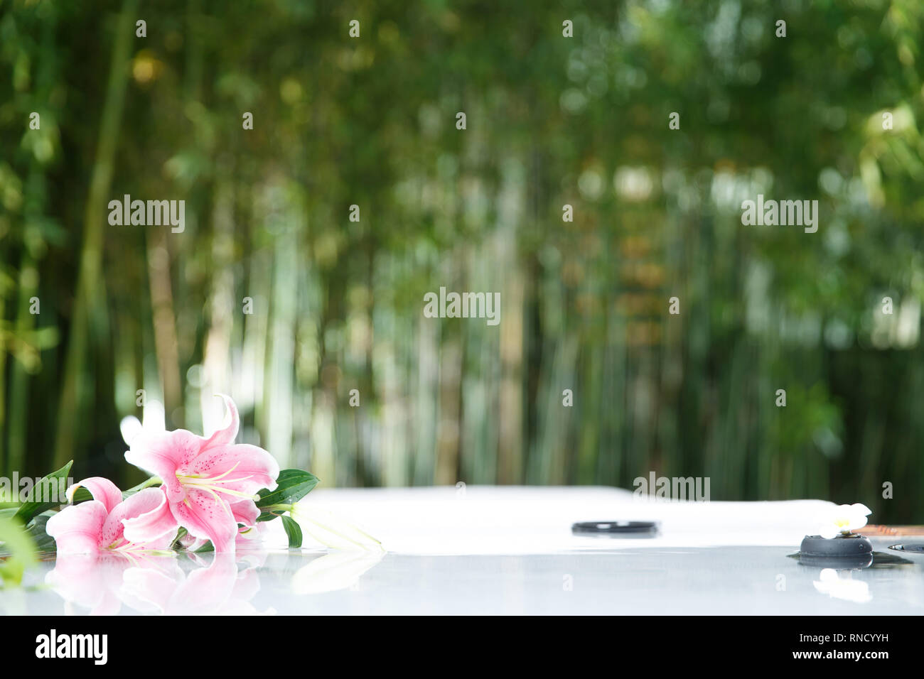Lily grove hi-res stock photography and images - Alamy