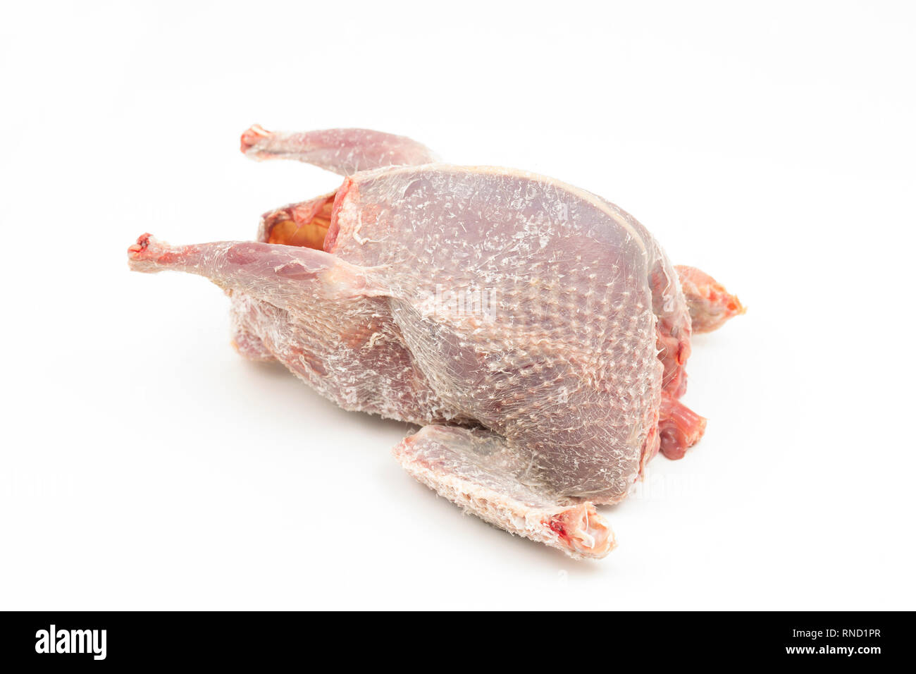 One of the most common birds in the uk Cut Out Stock Images & Pictures ...