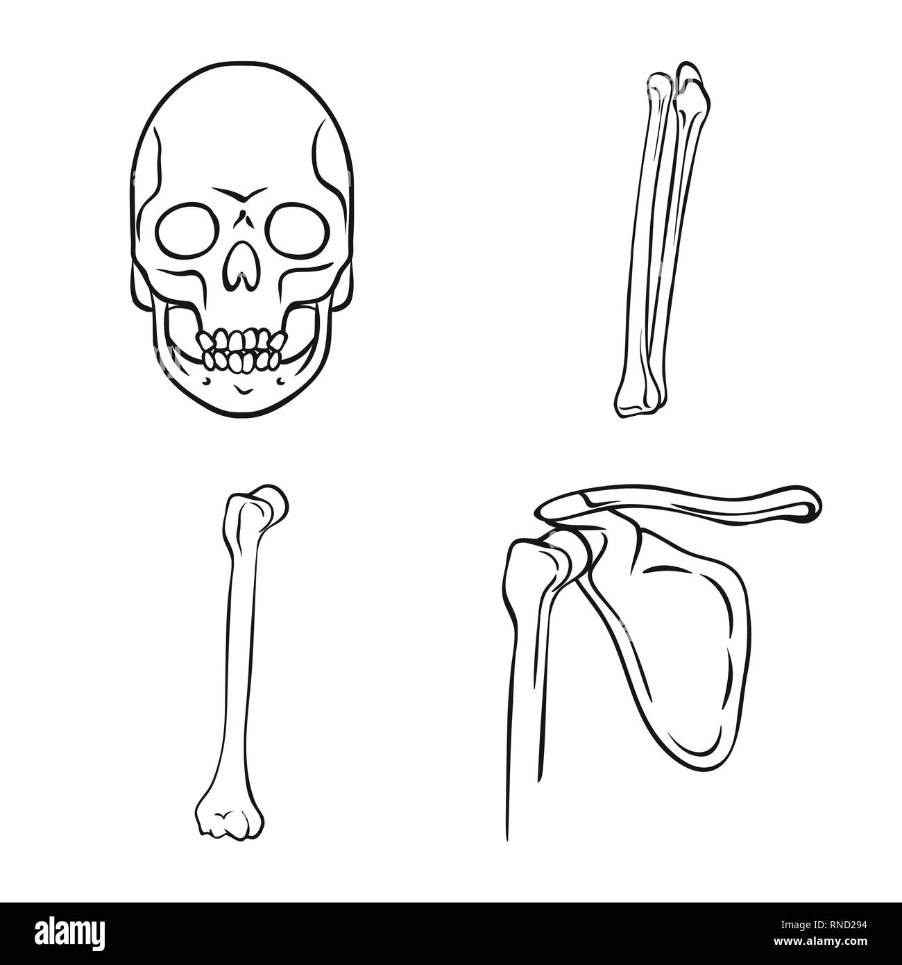 Fibula head fracture Black and White Stock Photos & Images - Alamy