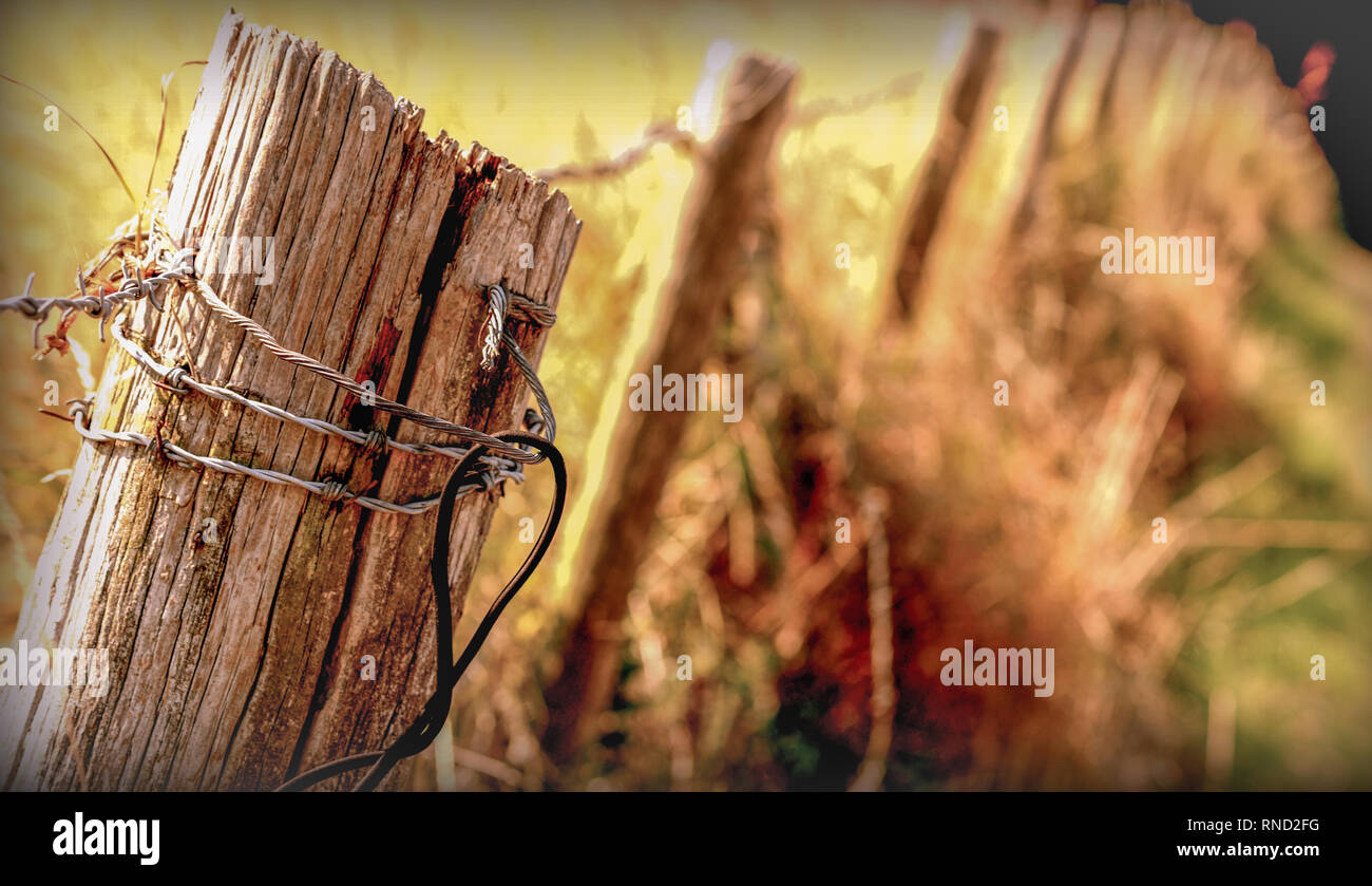 Barbed Wire Fence Separating Two Fields In The English Countryside Stock Photo Alamy