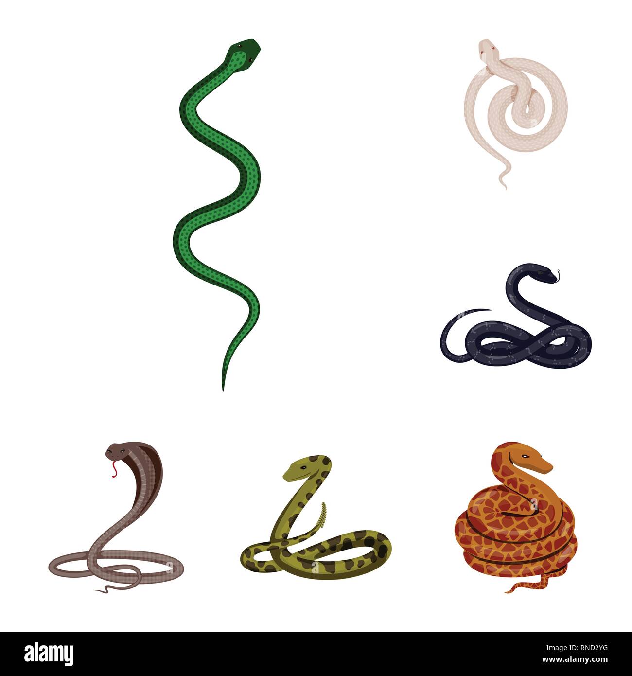 viper,anaconda,cobra,snake,tail,white,python,spiral,animal,tattoo,green ...