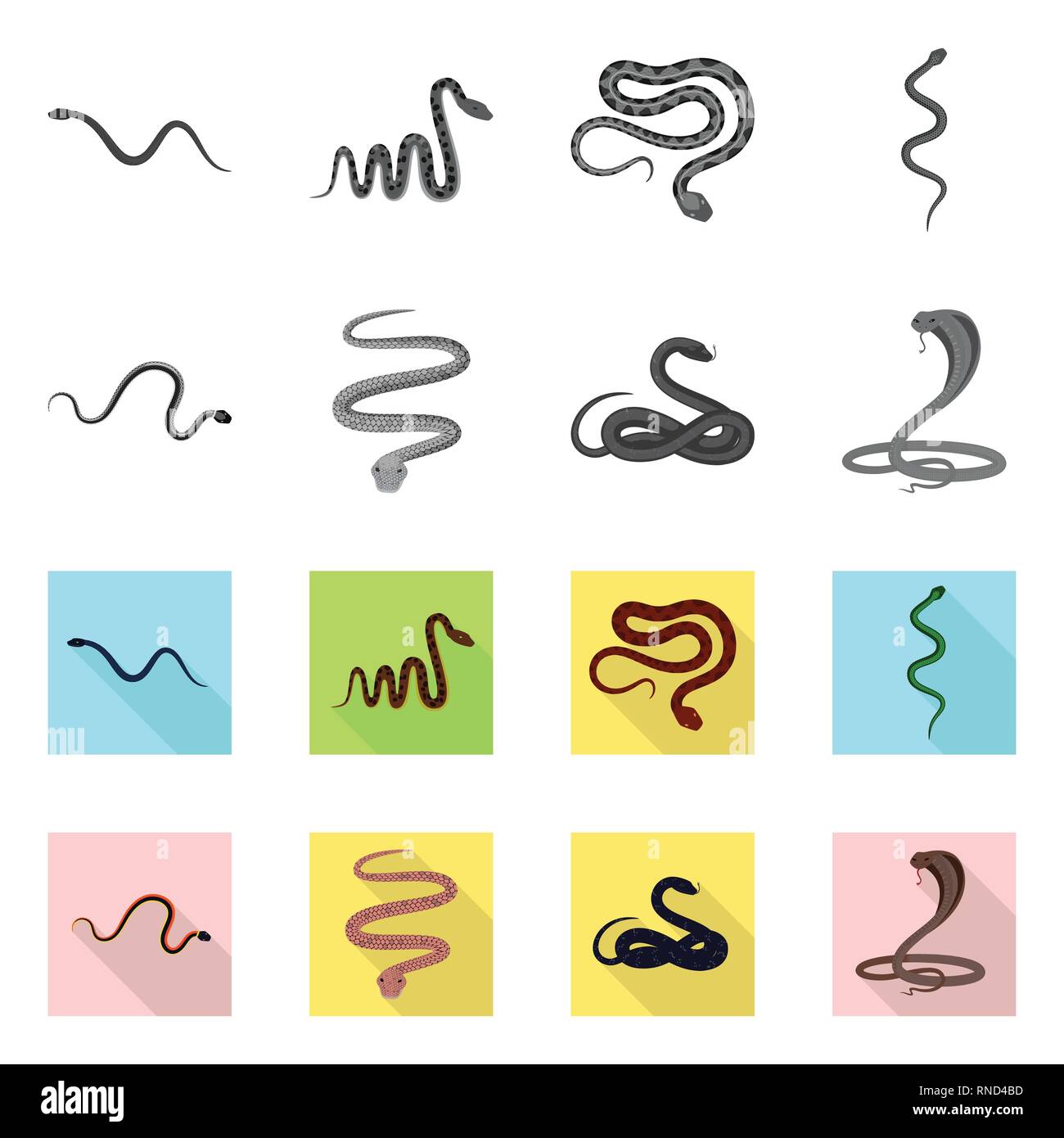 snake,viper,animal,anaconda,cobra,tail,python,spiral,jungle,forest,pink ...