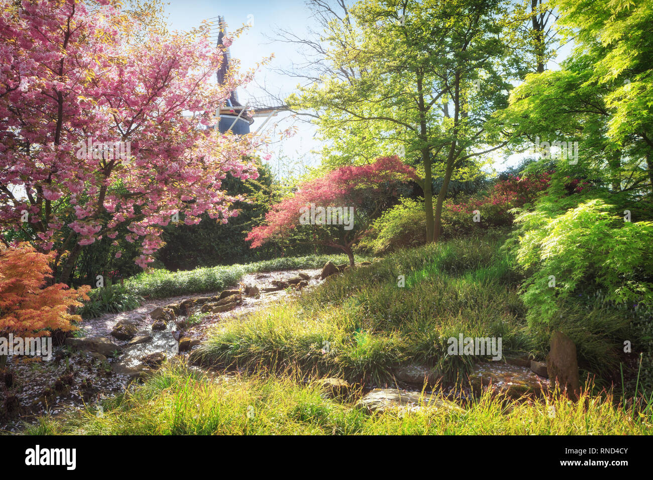 Tulip garden landscape spring hi-res stock photography and images - Alamy