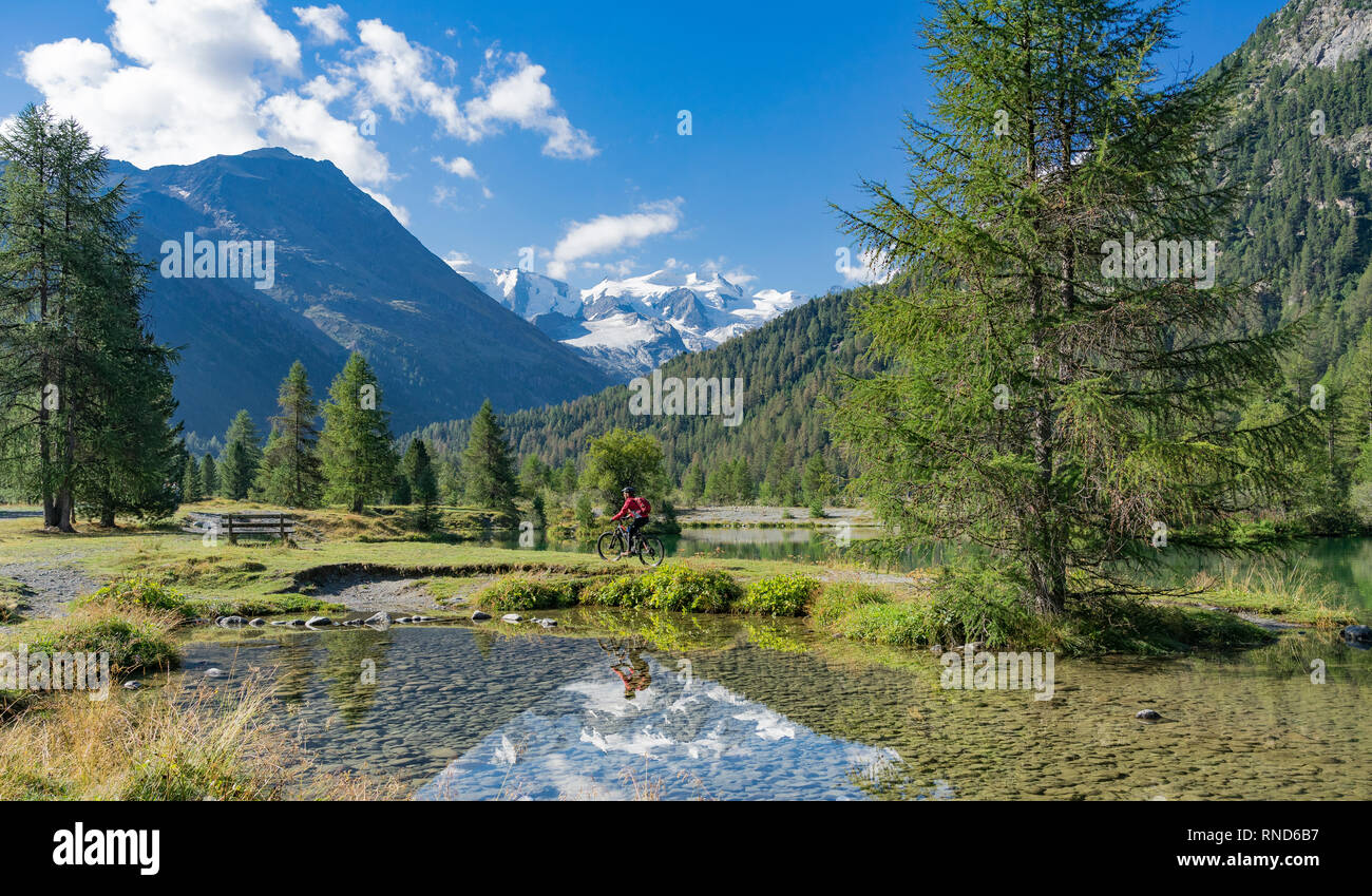 Bernina express trail hi-res stock photography and images - Alamy