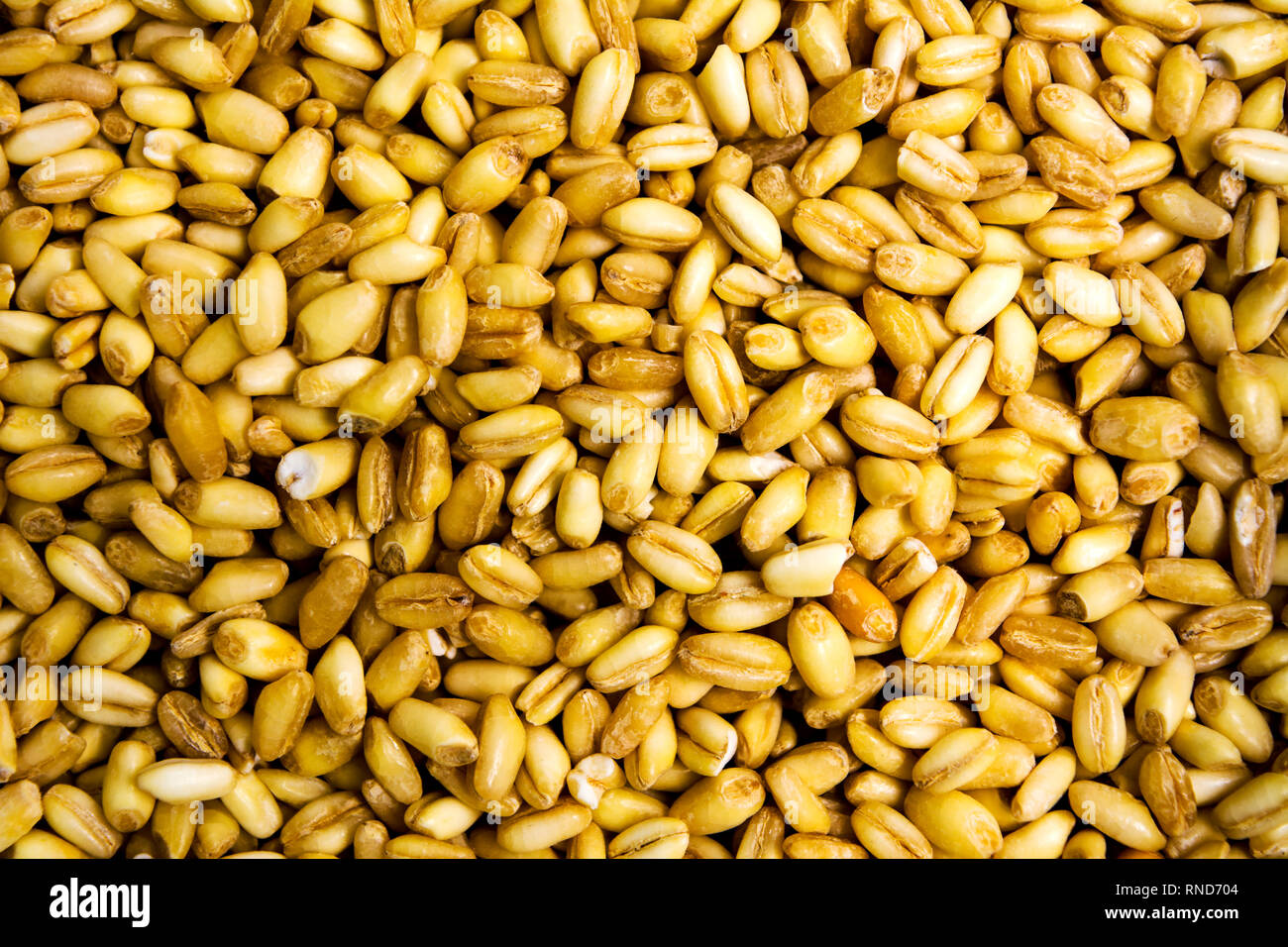 Wheat cereal grains making a background pattern Stock Photo - Alamy