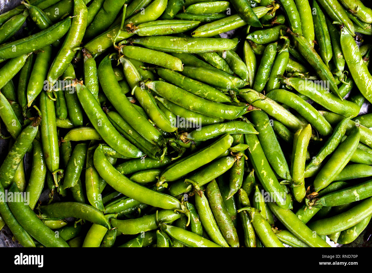 Green beans with shell making a background pattern Stock Photo - Alamy