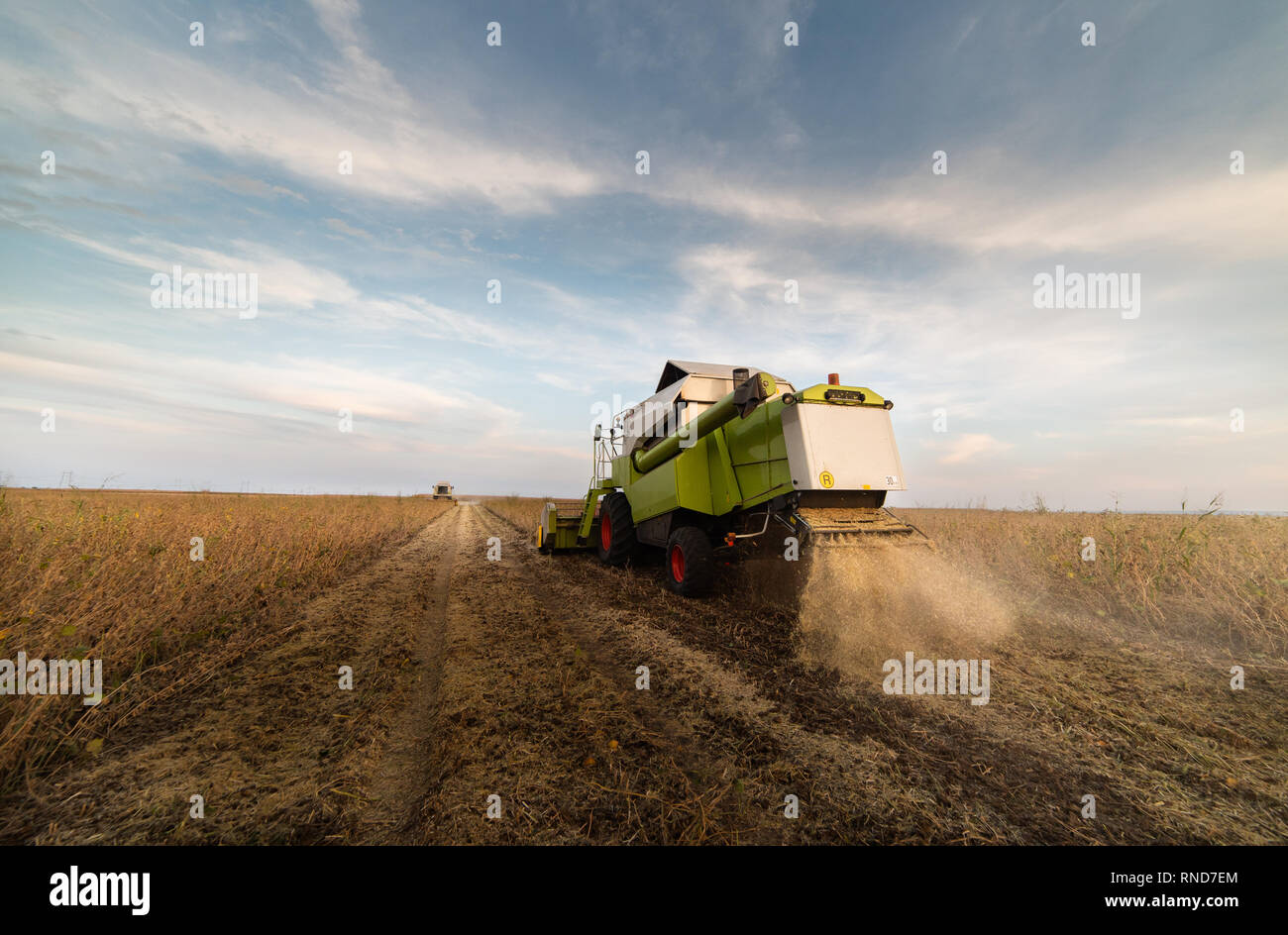 Harvesting of soy bean fields with combine Stock Photo - Alamy