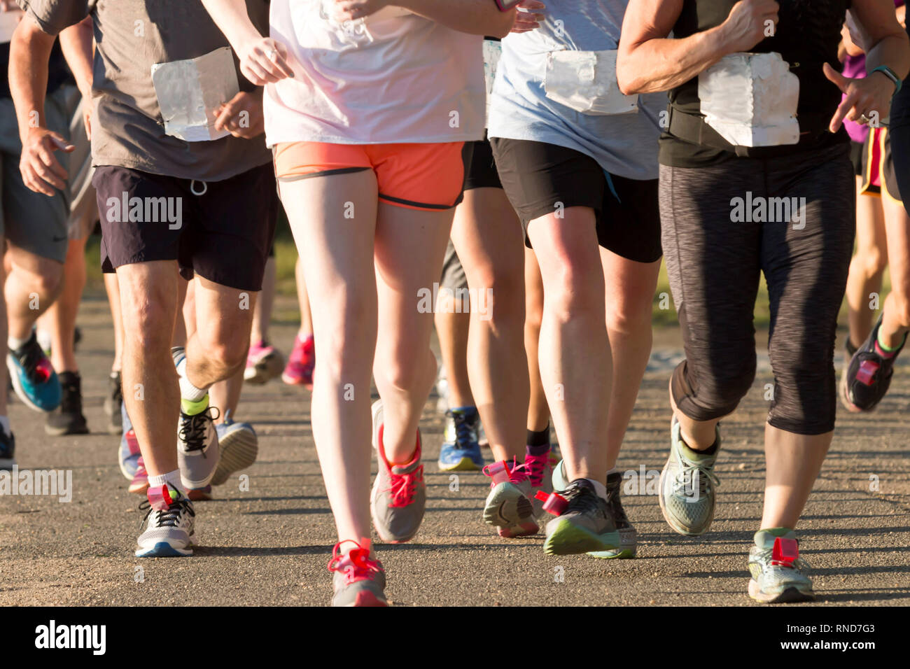 A pack of runners competing in a local five thousand meter race, both ...