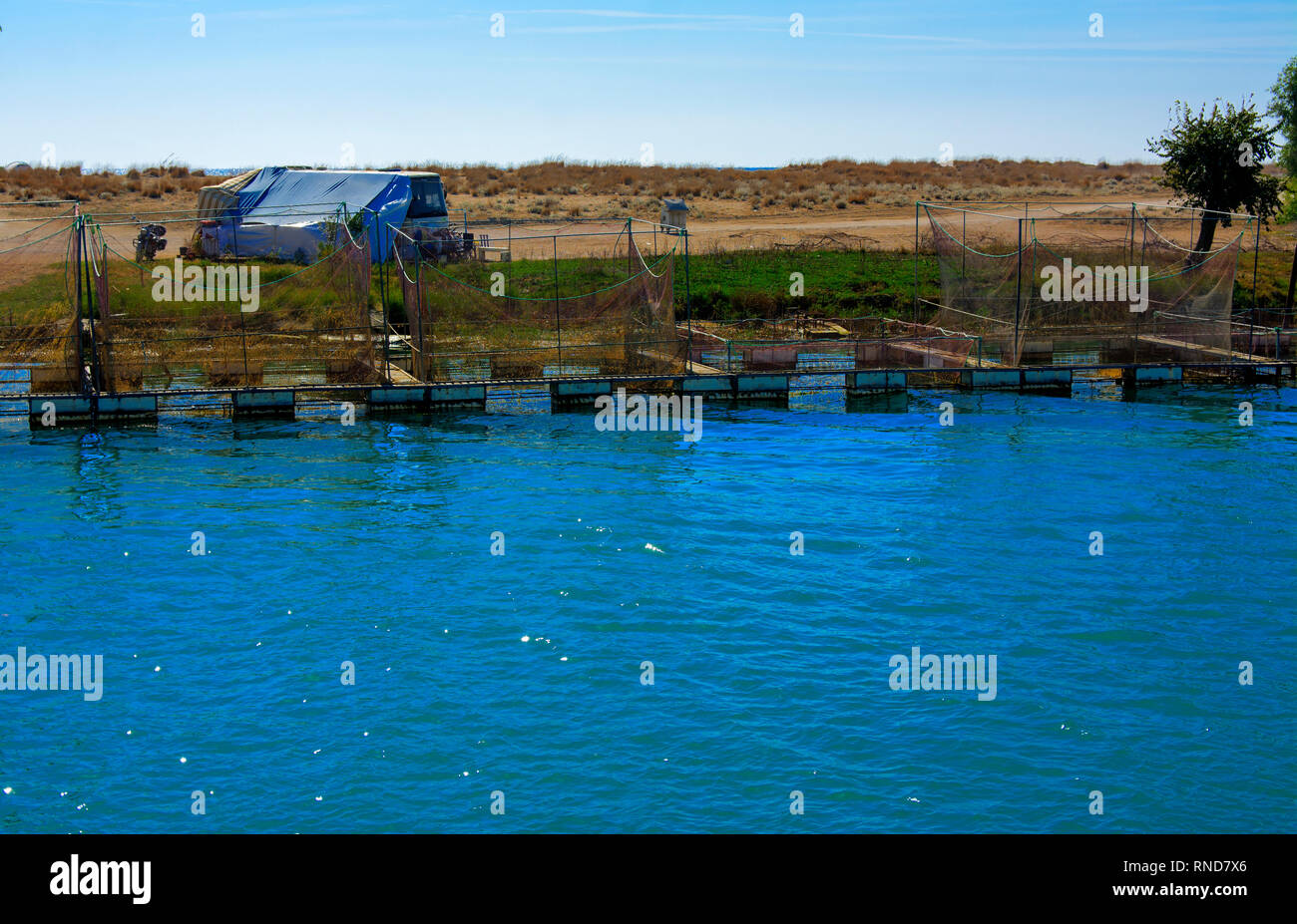Artificial breeding of fish. Tanks from the net in the open air farm ...