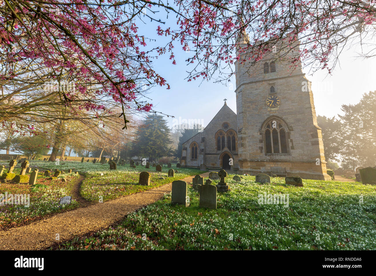 Misty snowdrops hi-res stock photography and images - Alamy