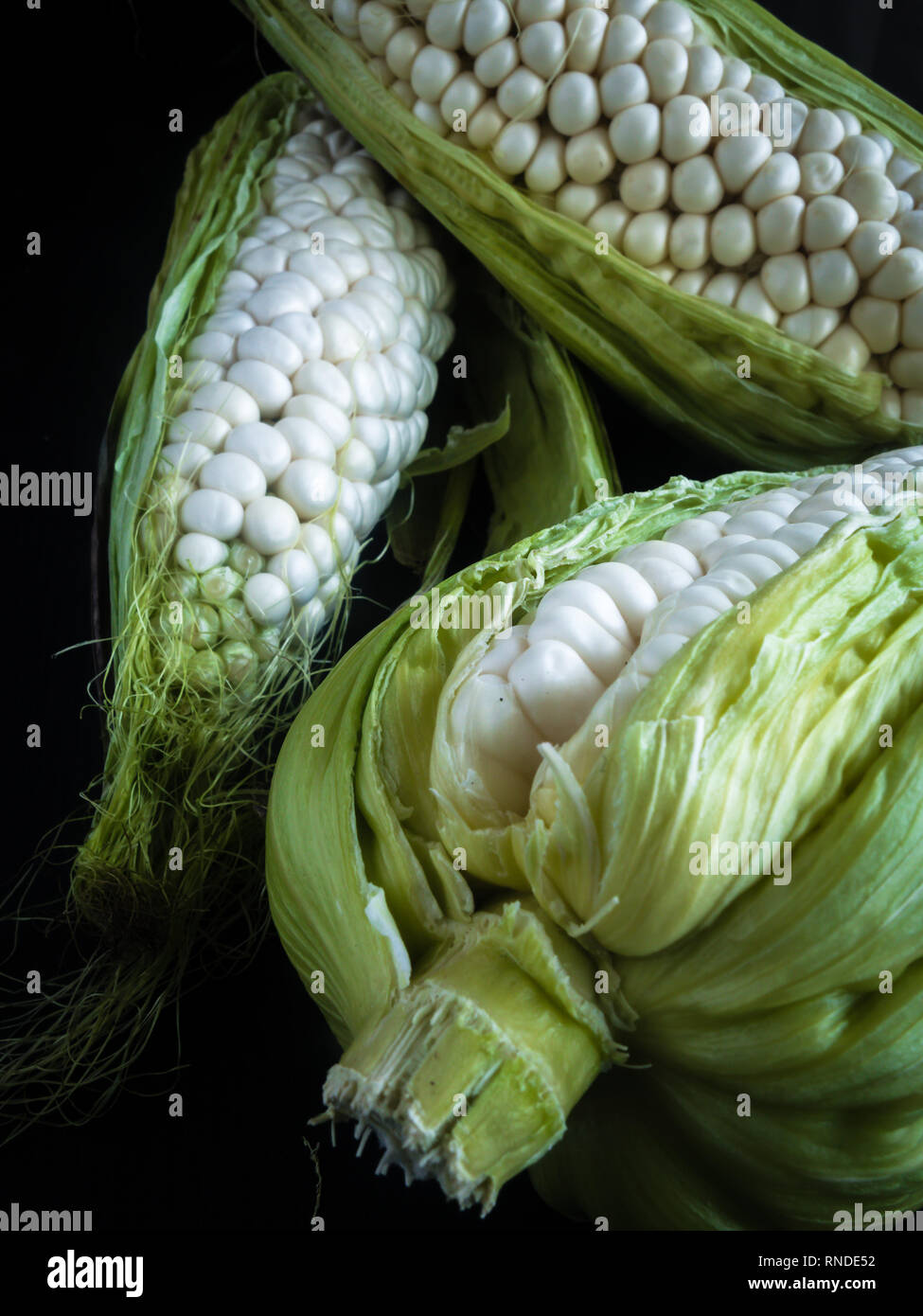 White Corn on the Cob Stock Photo - Alamy