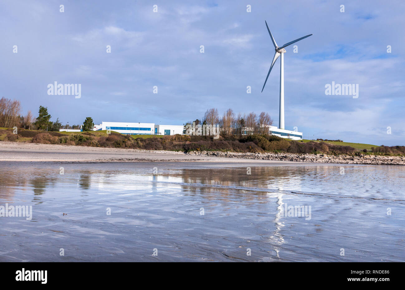 Ringaskiddy, Cork, Ireland. 18th February, 2019. A View of the DePuy ...