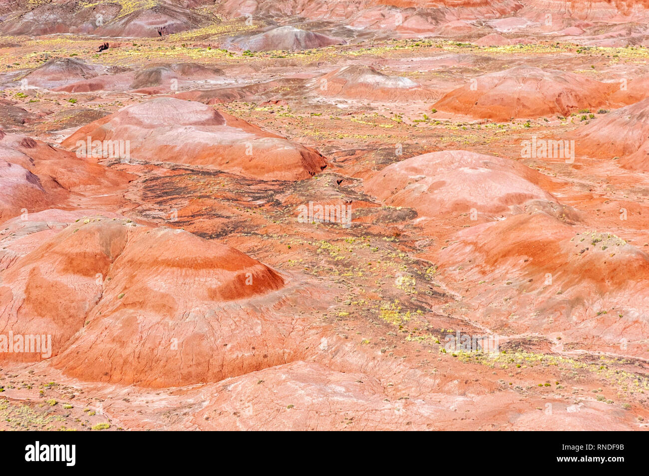 Painted desert arizona hi-res stock photography and images - Alamy
