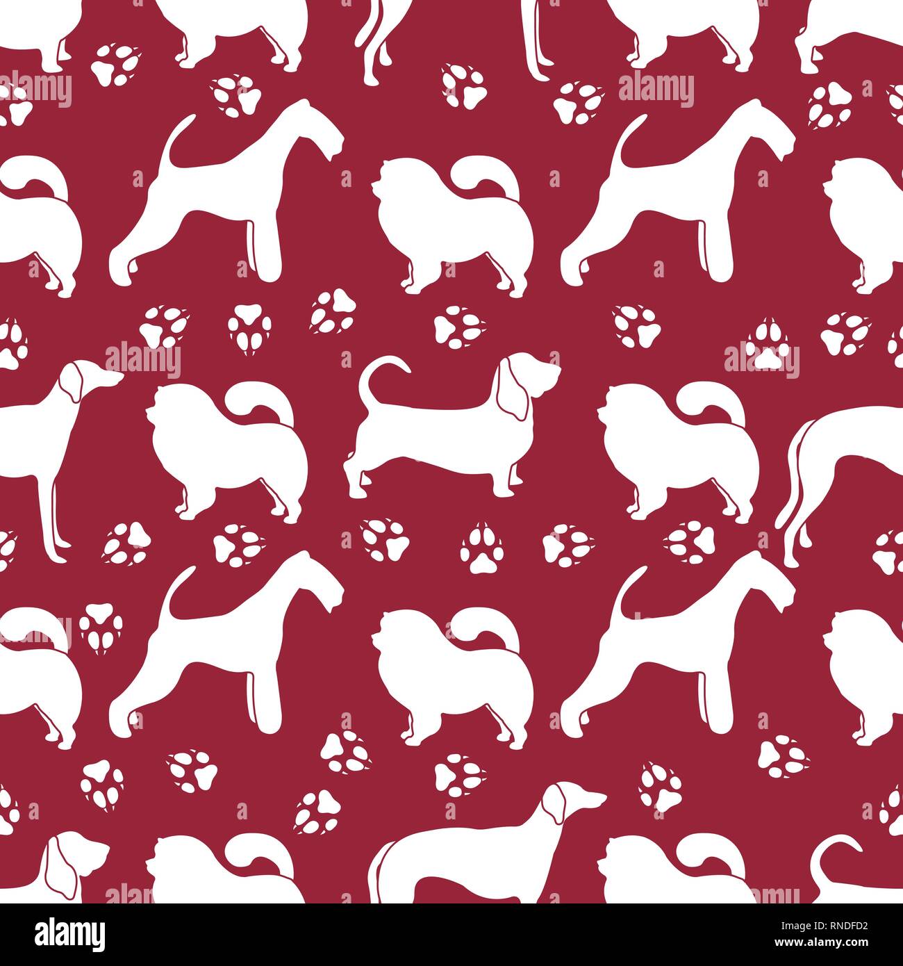 Different animal tracks hi-res stock photography and images - Alamy