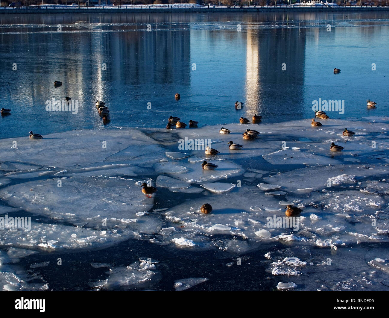 Russian printers hi-res stock photography and images - Alamy