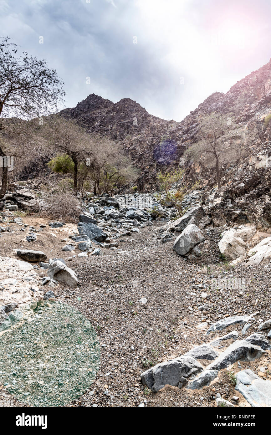Dry riverbed in the mountains with Lens Flare effect Stock Photo - Alamy