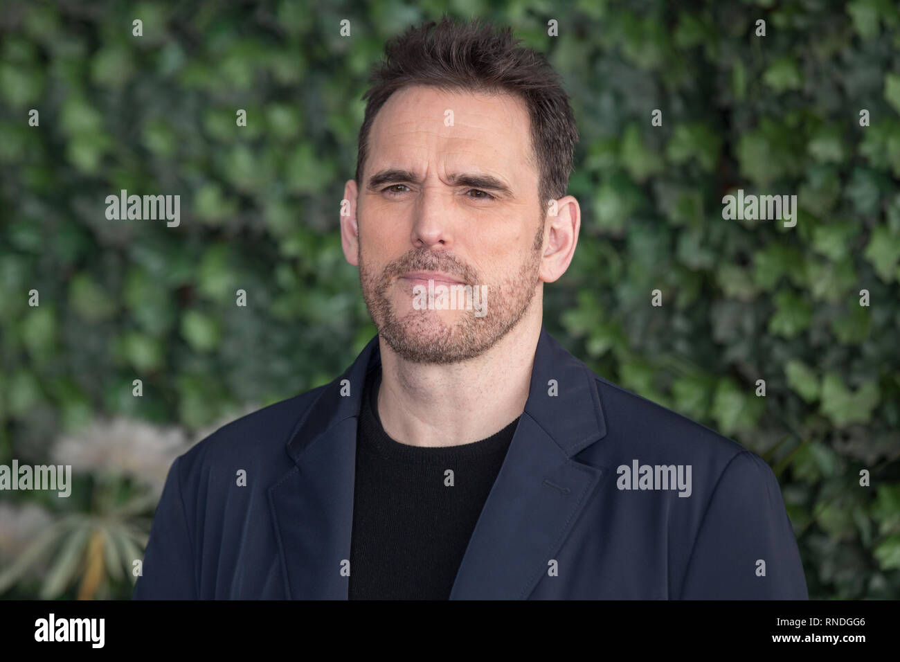 Rome, Italy. 18th Feb, 2019. Photocall with the American actor Matt ...
