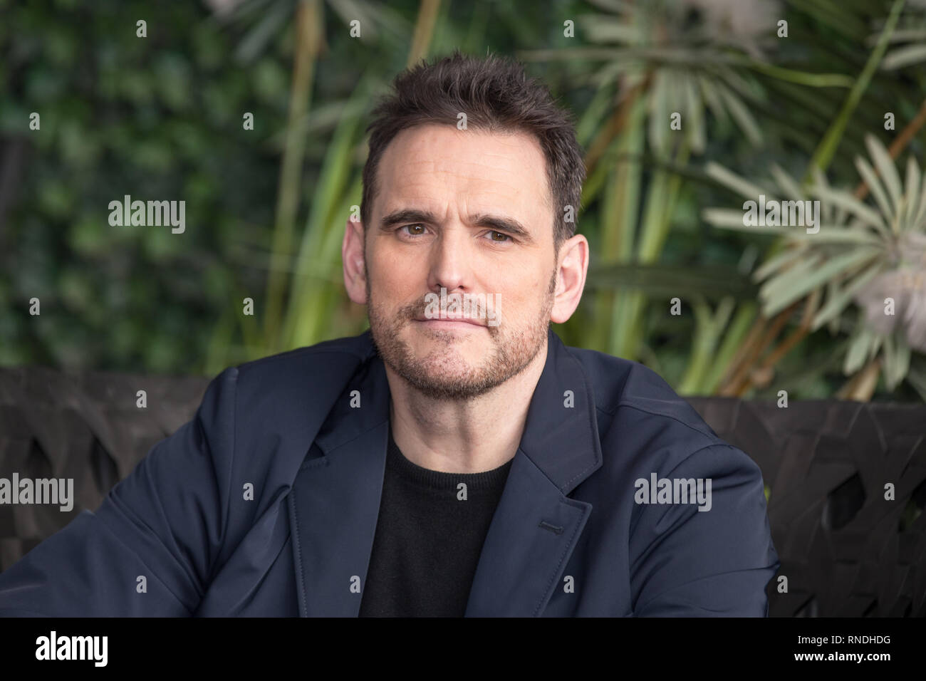 Rome, Italy. 18th Feb, 2019. Photocall with the American actor Matt ...