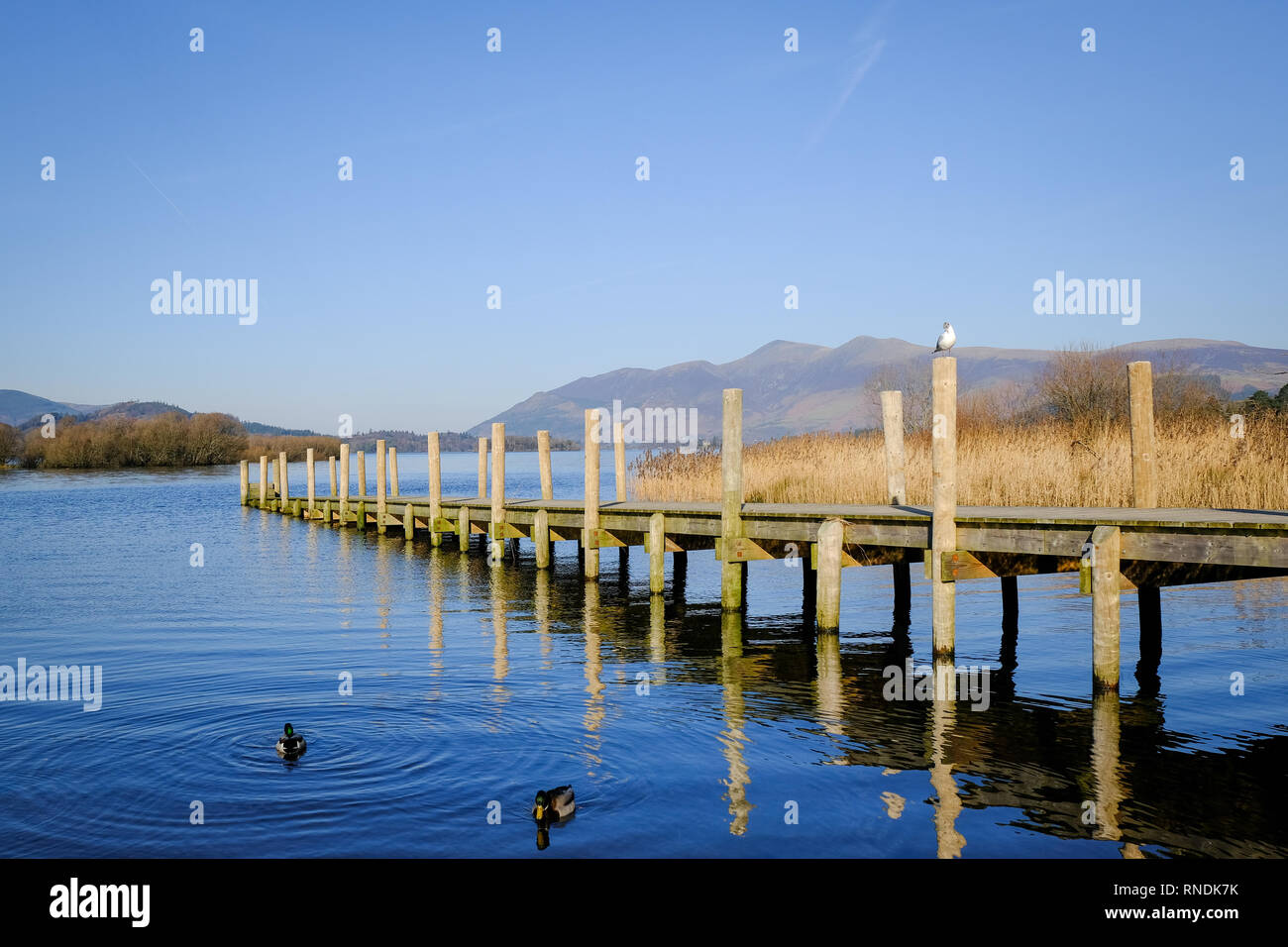 Landing stage on derwentwater hi-res stock photography and images - Alamy
