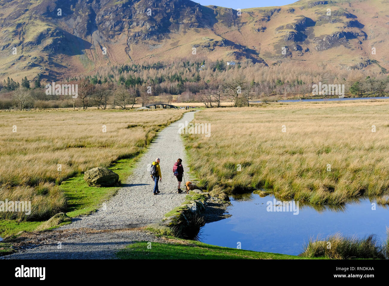 Derwent walk country park hi-res stock photography and images - Alamy