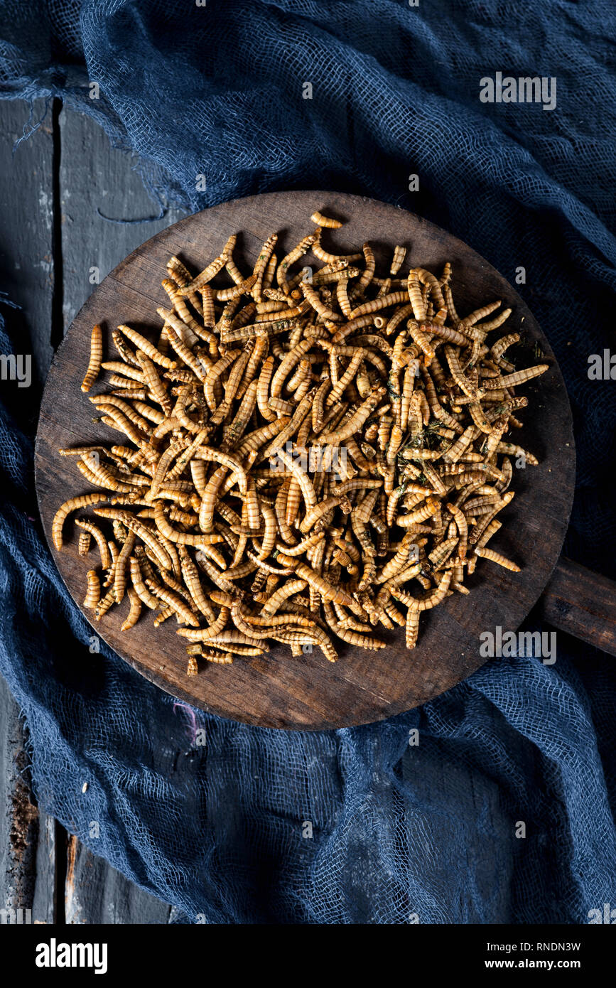 Fried worms hi-res stock photography and images - Alamy