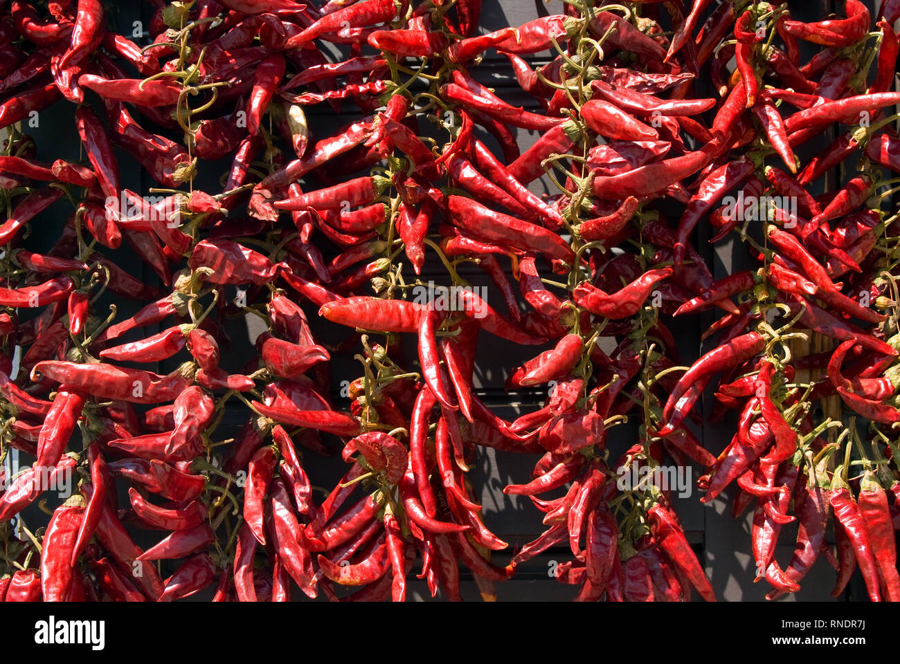 Bunches red peppers hi-res stock photography and images - Alamy