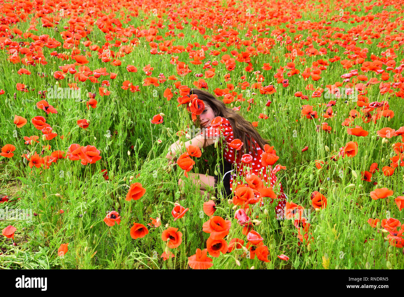 Drug and love intoxication, opium, medicinal Stock Photo - Alamy