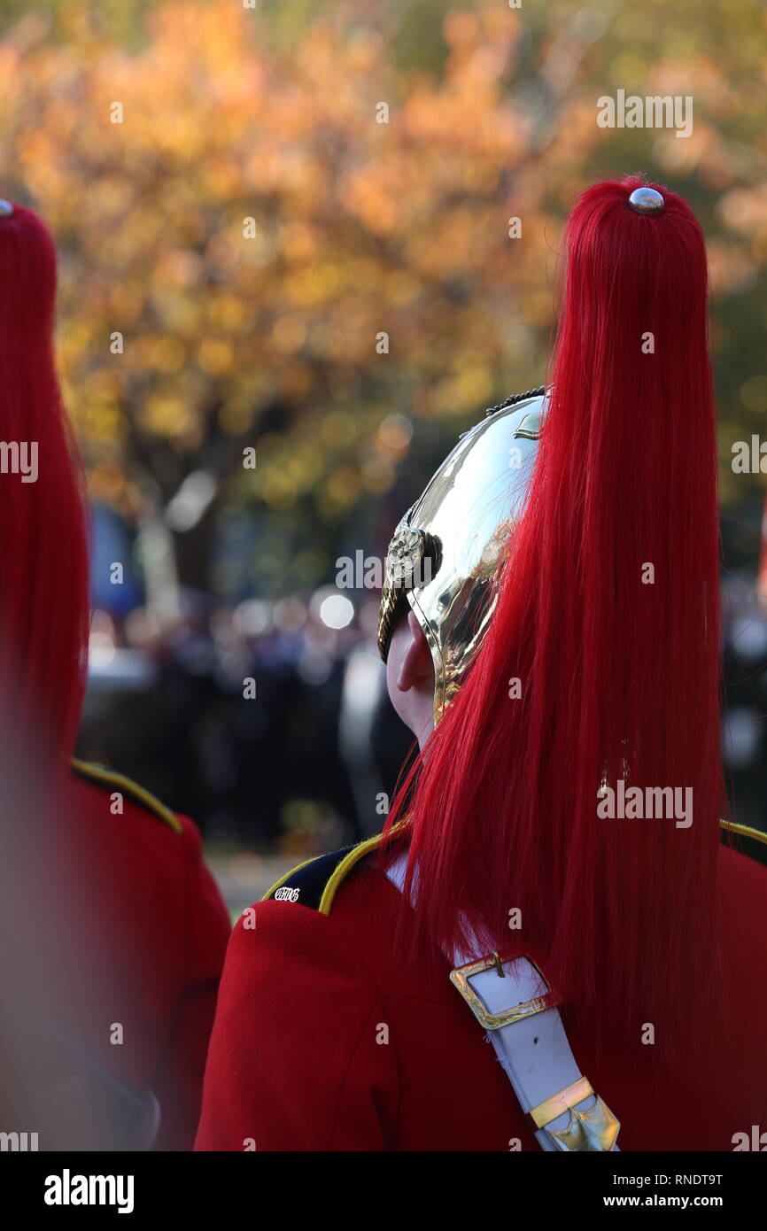 Seasons of remembrance hi-res stock photography and images - Alamy