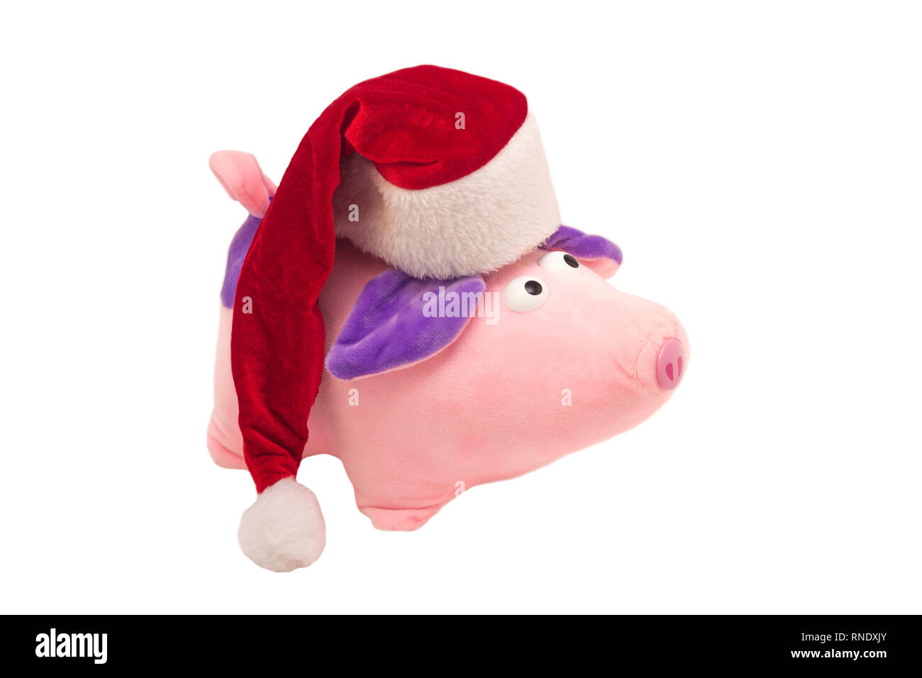 Funny pig in santa Cut Out Stock Images & Pictures - Alamy
