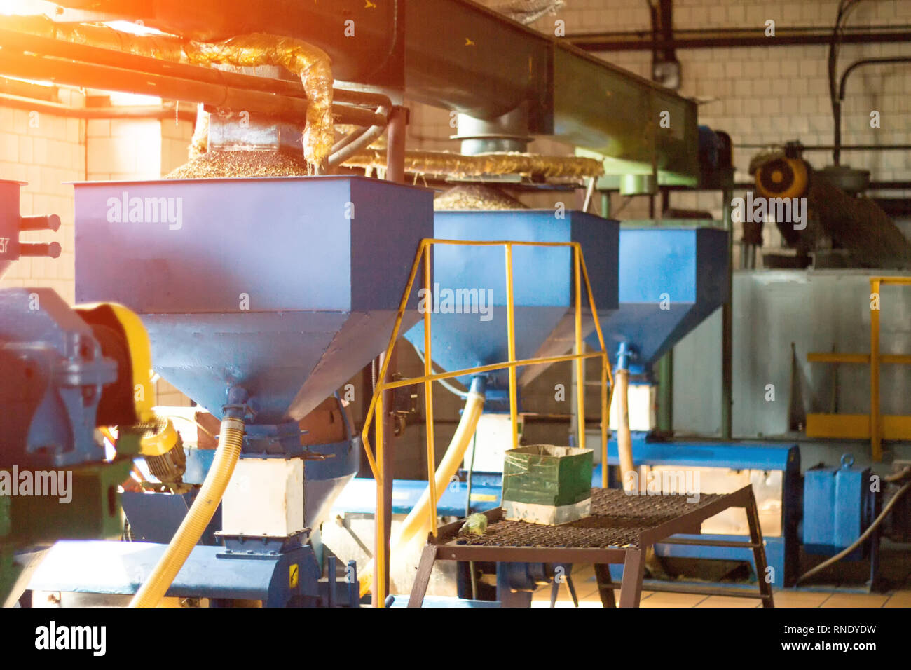 Workshop for the production and processing of oilseed rape, biofuel ...