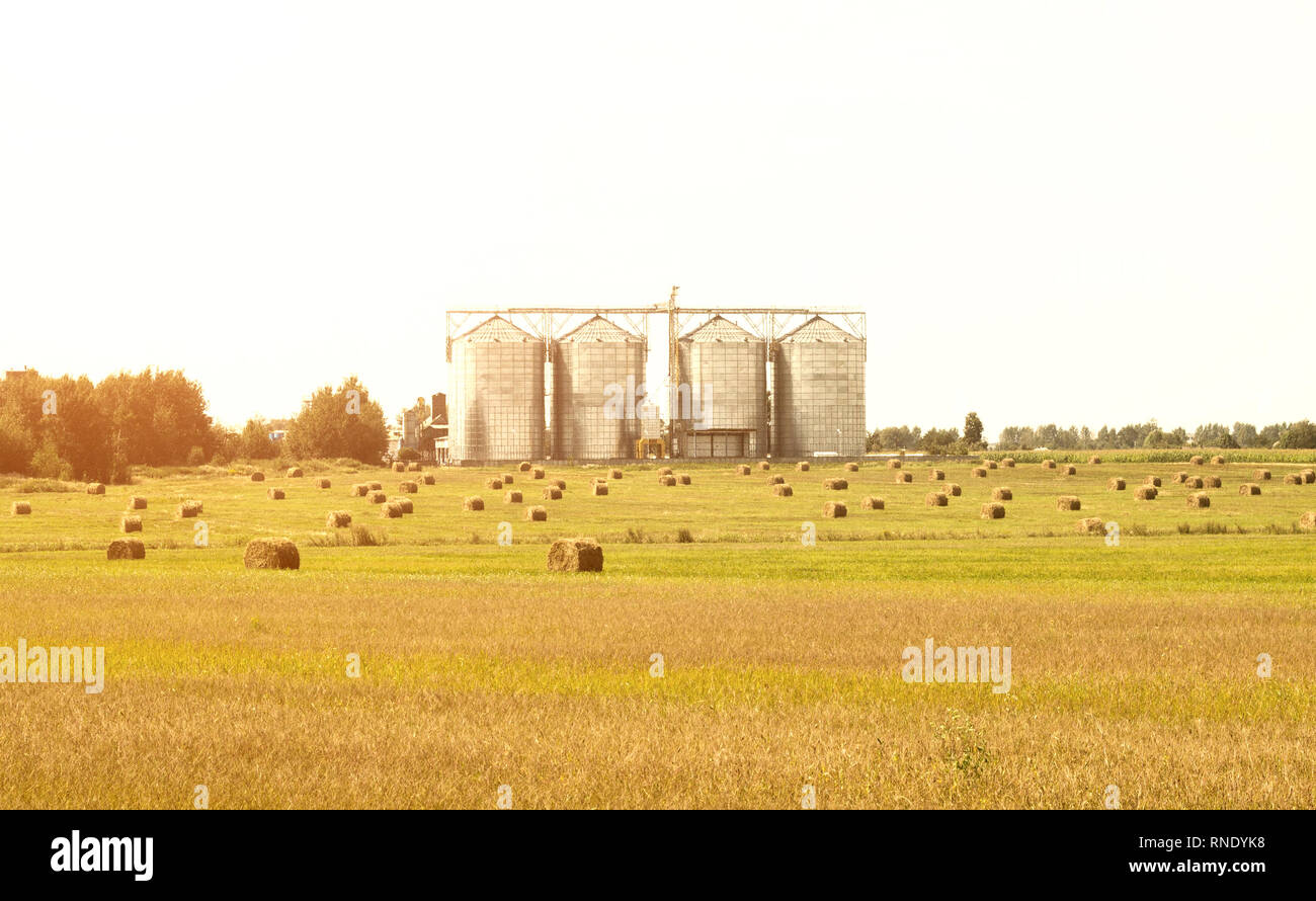 Modern storage complex for oilseed rapeseed and other grains, grains ...
