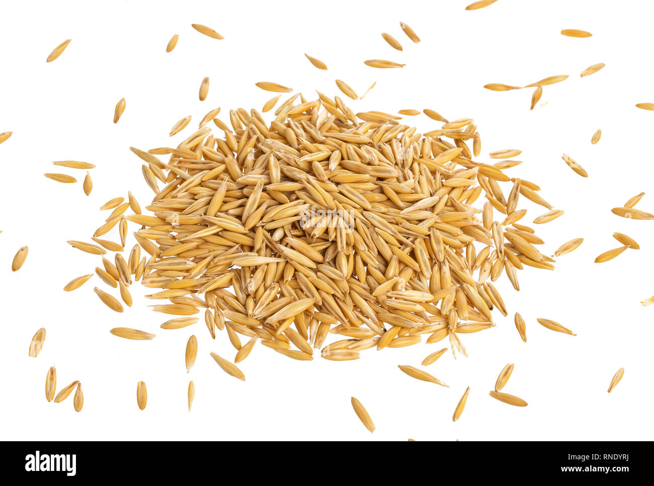 Pile of oat seeds isolated on white background, top view, grain of oats ...