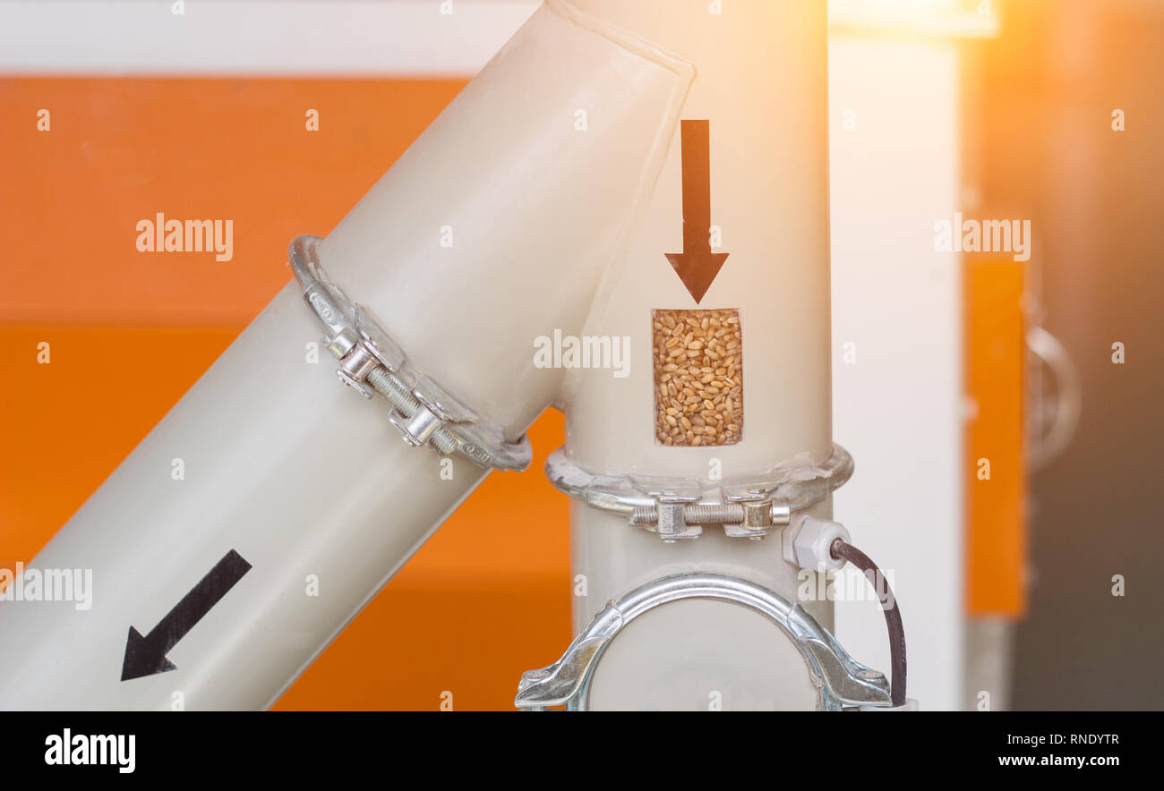 Seed production cleaning line hi-res stock photography and images - Alamy