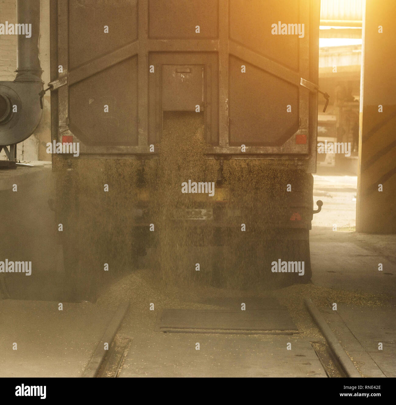 A truck unloads grain at a grain storage and processing plant, a grain ...