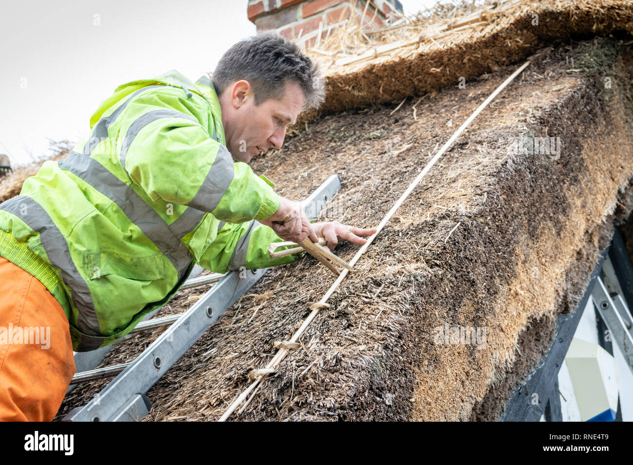 Cambridgeshire, UK. 18th Feb, 2019. The thatched roof of an old cottage ...