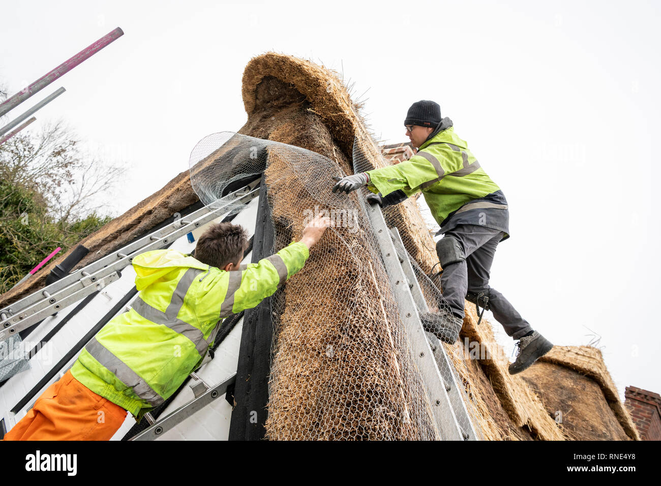 Cambridgeshire, UK. 18th Feb, 2019. The thatched roof of an old cottage ...