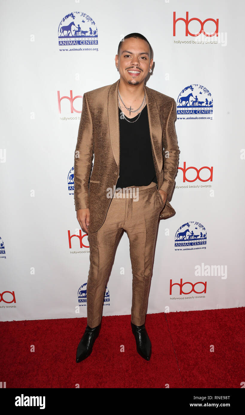 HOLLYWOOD, CA - FEBRUARY 17: Evan Ross, at the 5th Annual Hollywood ...