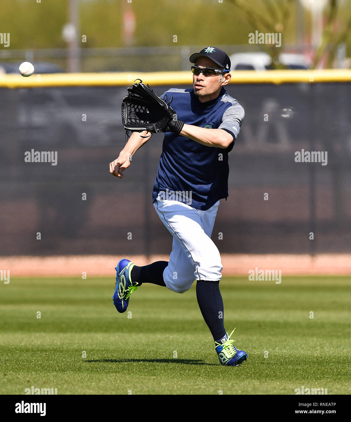 Ichiro Suzuki of the Seattle Mariners during a spring training camp at ...