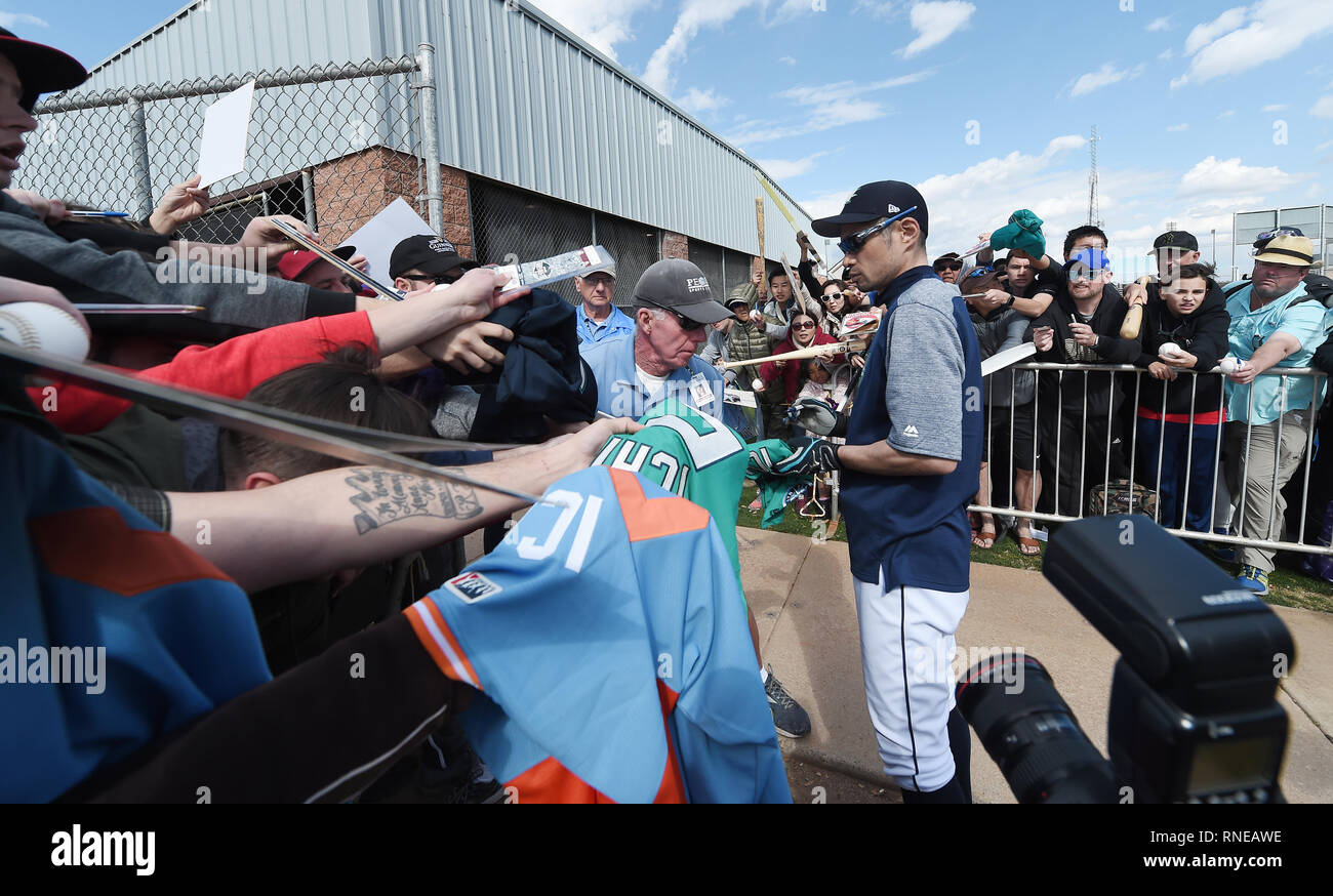 Peoria sports complex hi-res stock photography and images - Alamy