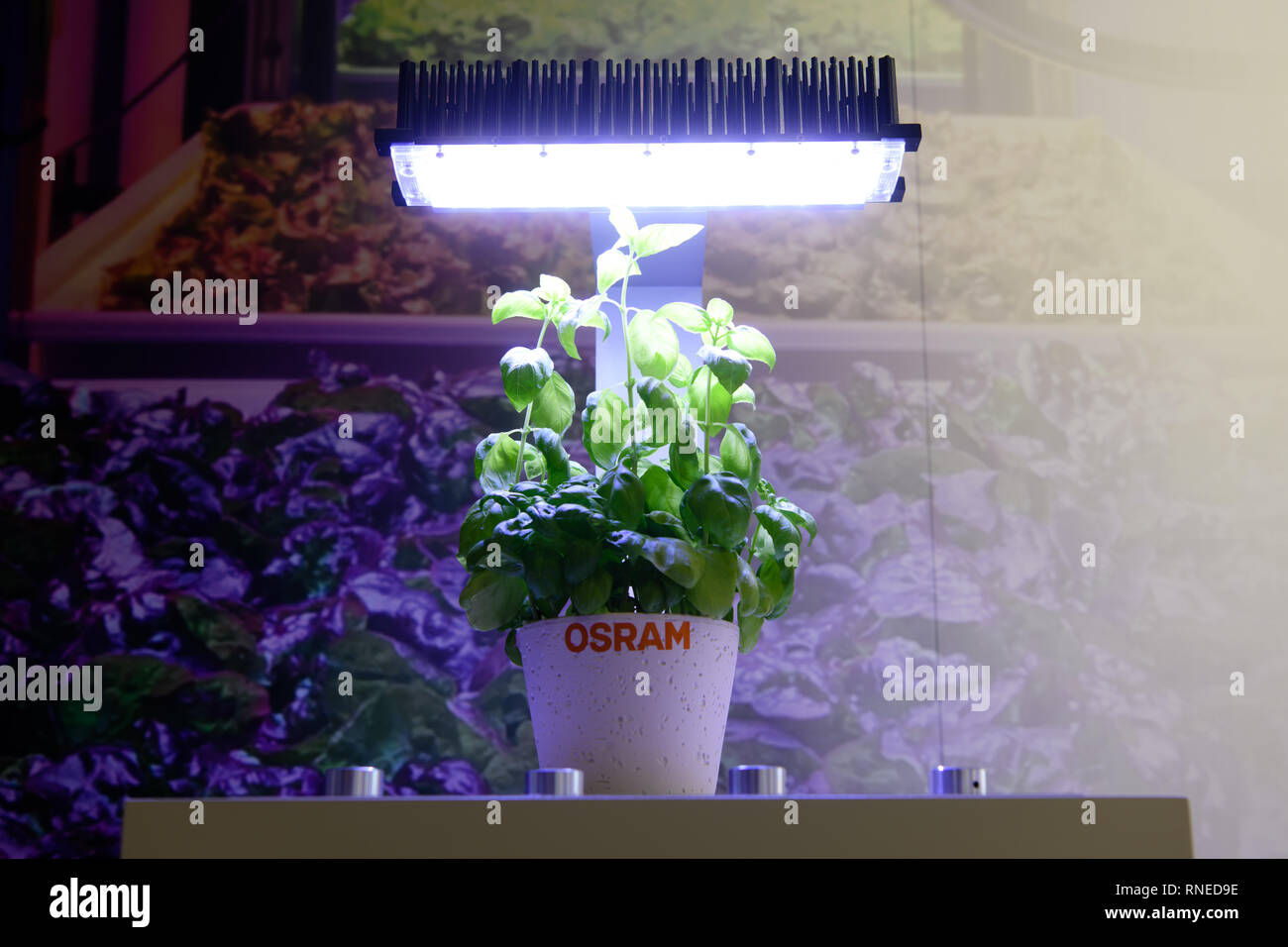 Fluence bioengineering hi-res stock photography and images - Alamy