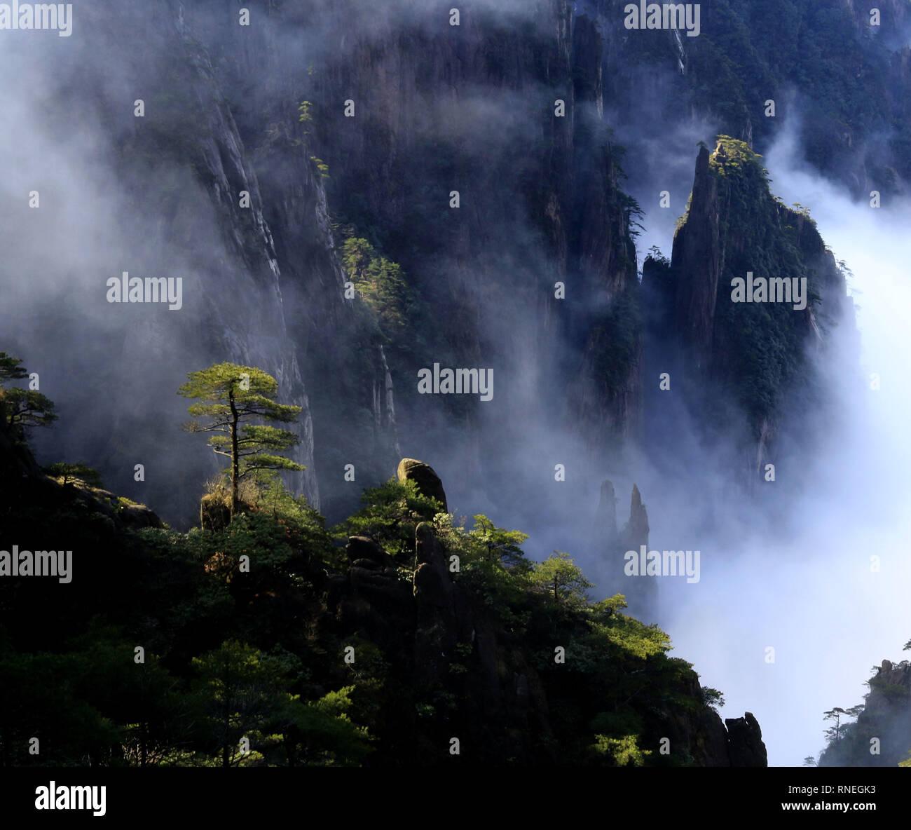Huangsha, , China. 19th Feb, 2019. Huangshan, CHINA-Scenery of Huangshan Mountain after snowfall ...