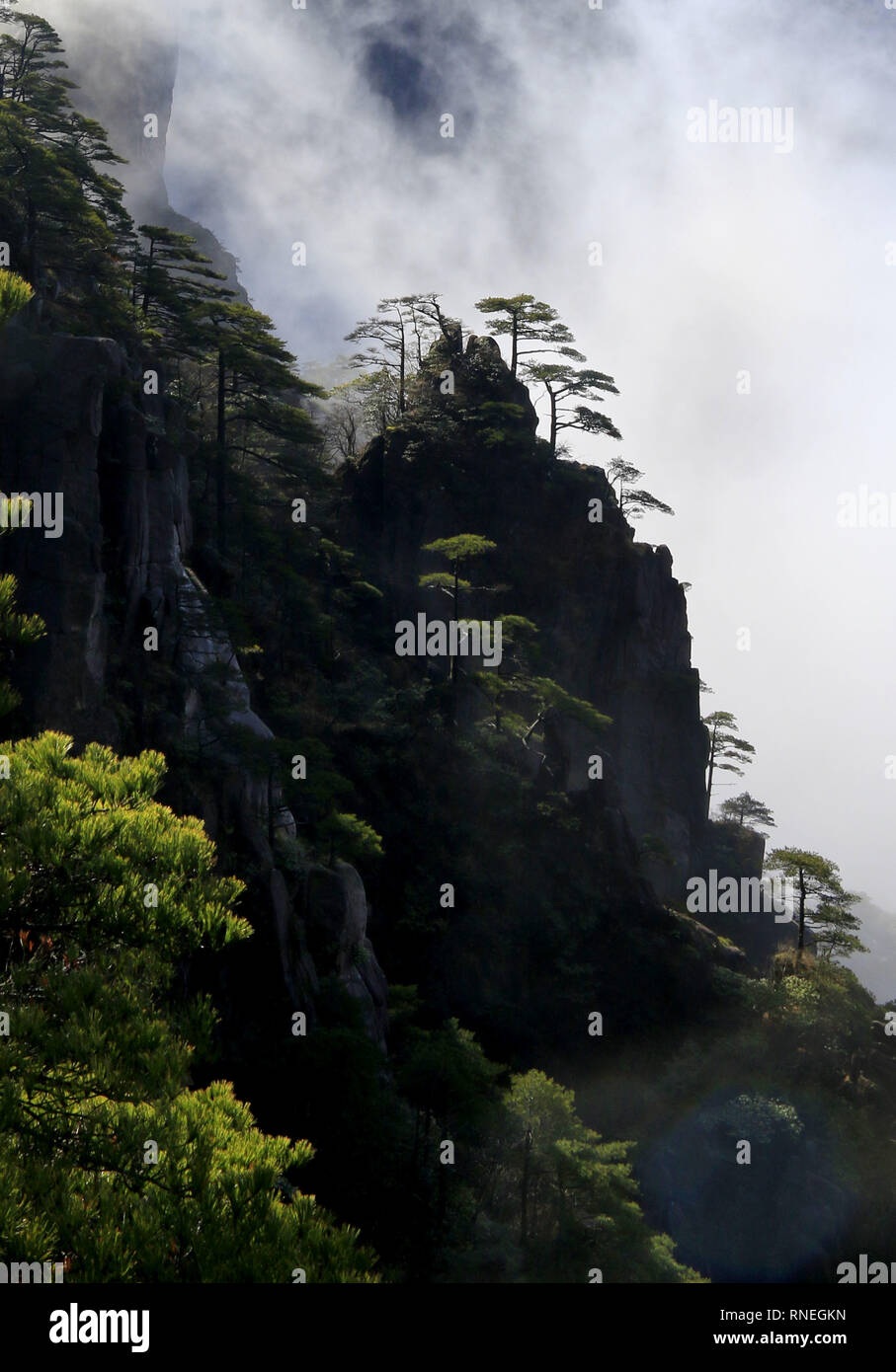 Huangsha, , China. 19th Feb, 2019. Huangshan, CHINA-Scenery of Huangshan Mountain after snowfall ...