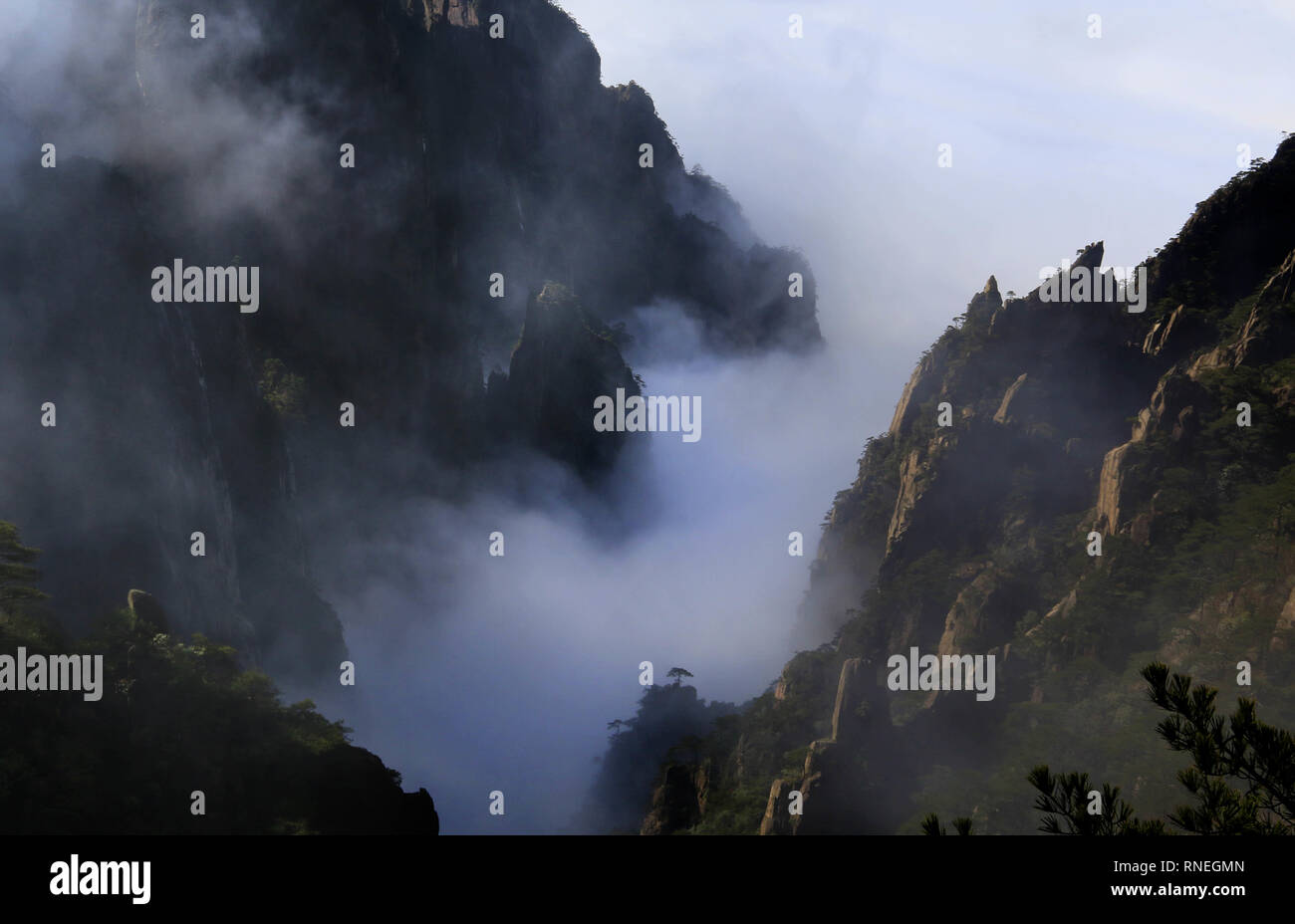 Huangsha, , China. 19th Feb, 2019. Huangshan, CHINA-Scenery of Huangshan Mountain after snowfall ...