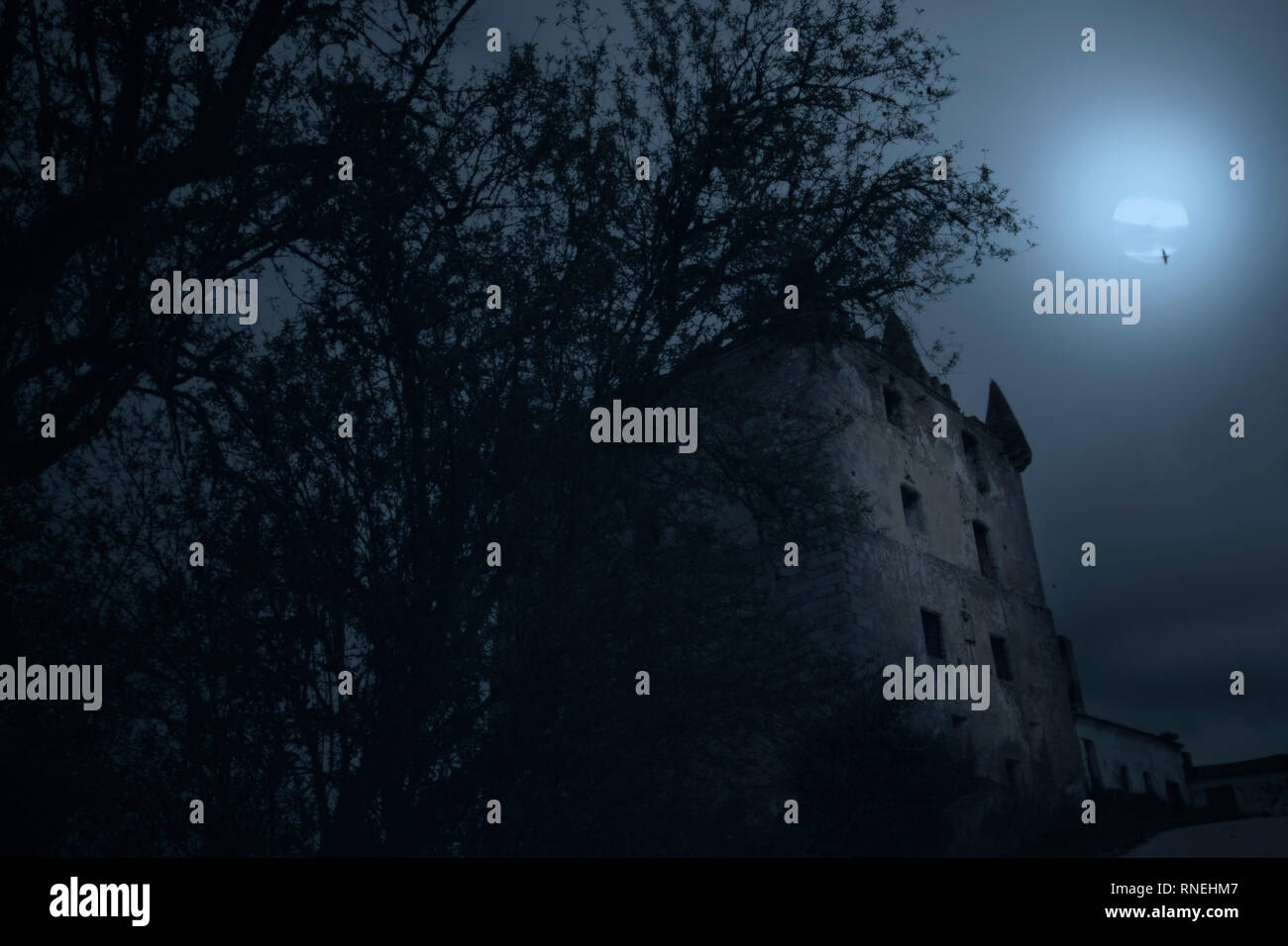 Old haunted manor house on full moon night Stock Photo - Alamy