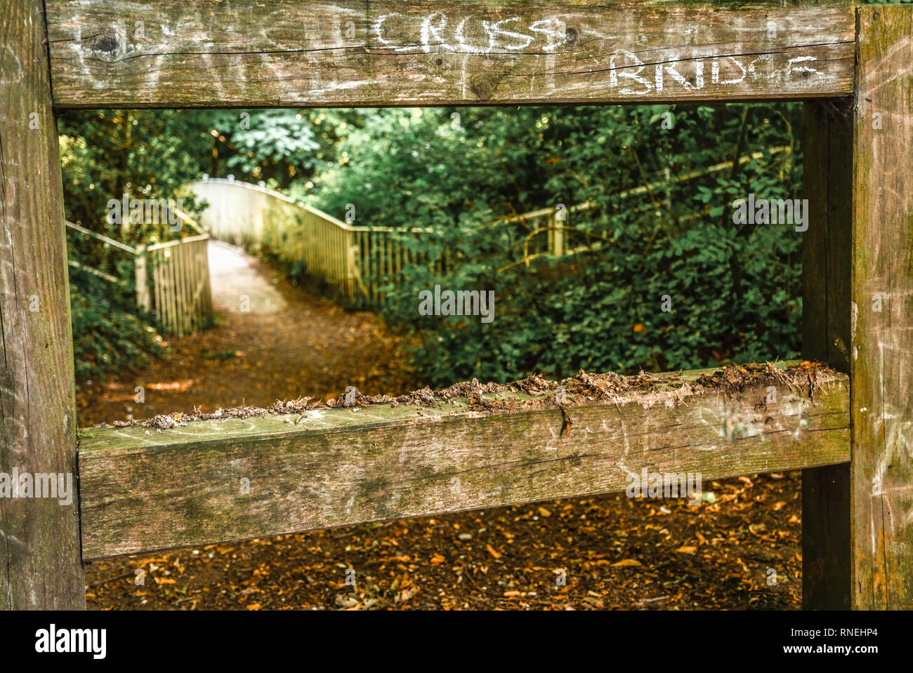 Crossing over the road hi-res stock photography and images - Alamy